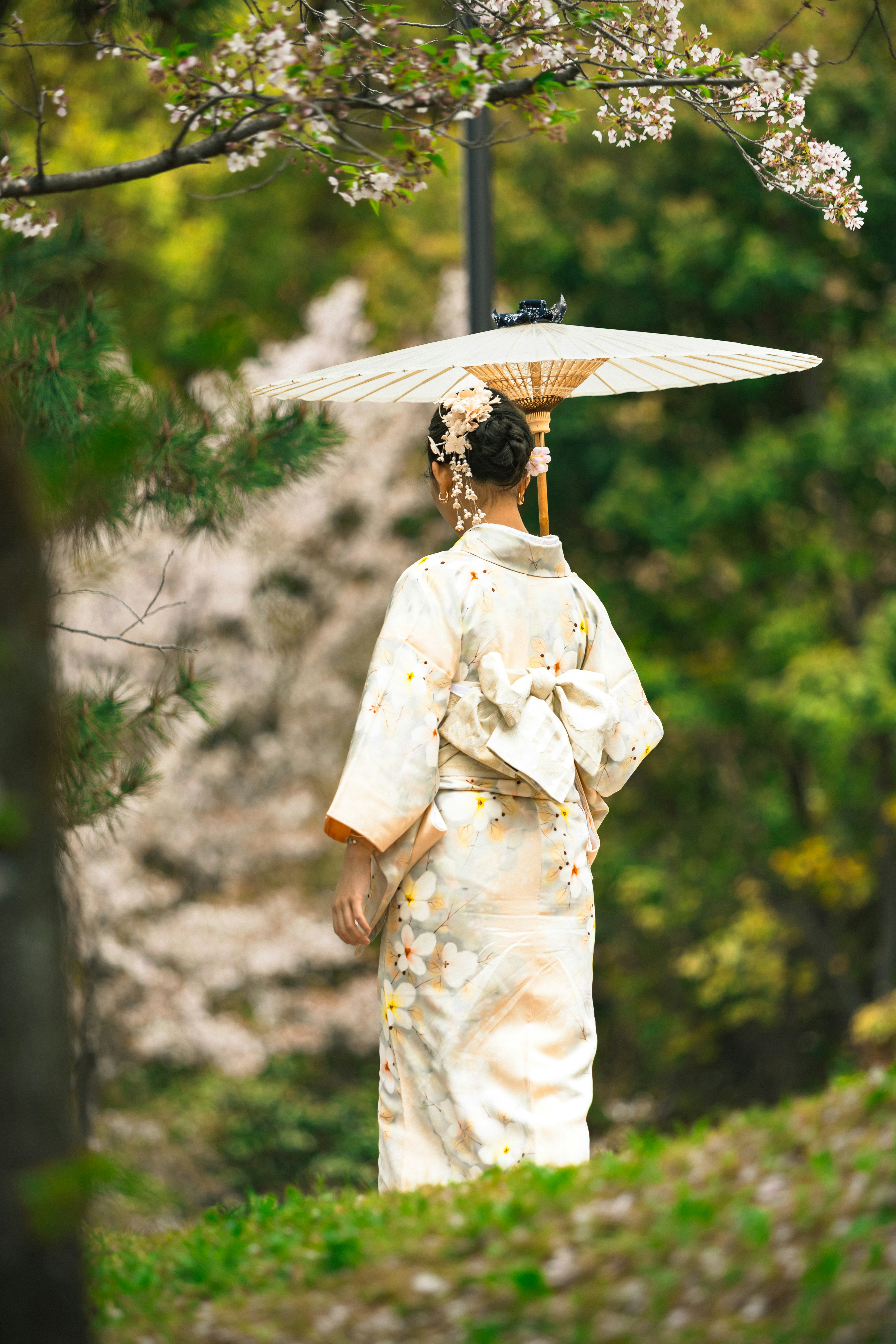 Kimono in Bloom: A Silent Stroll with a Paper Umbrella