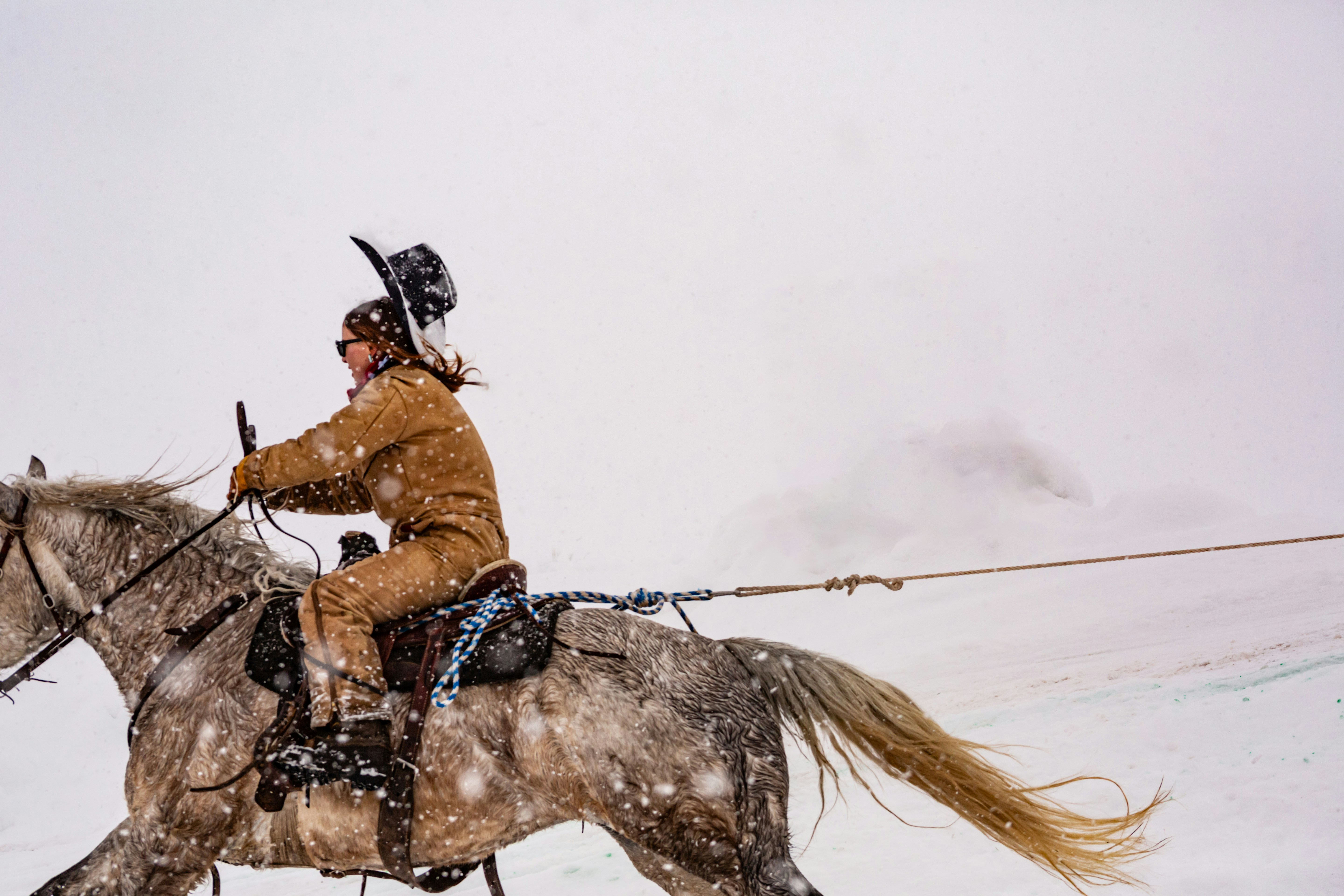 Galloping Rider: Alpine Snow and a Daring Jump