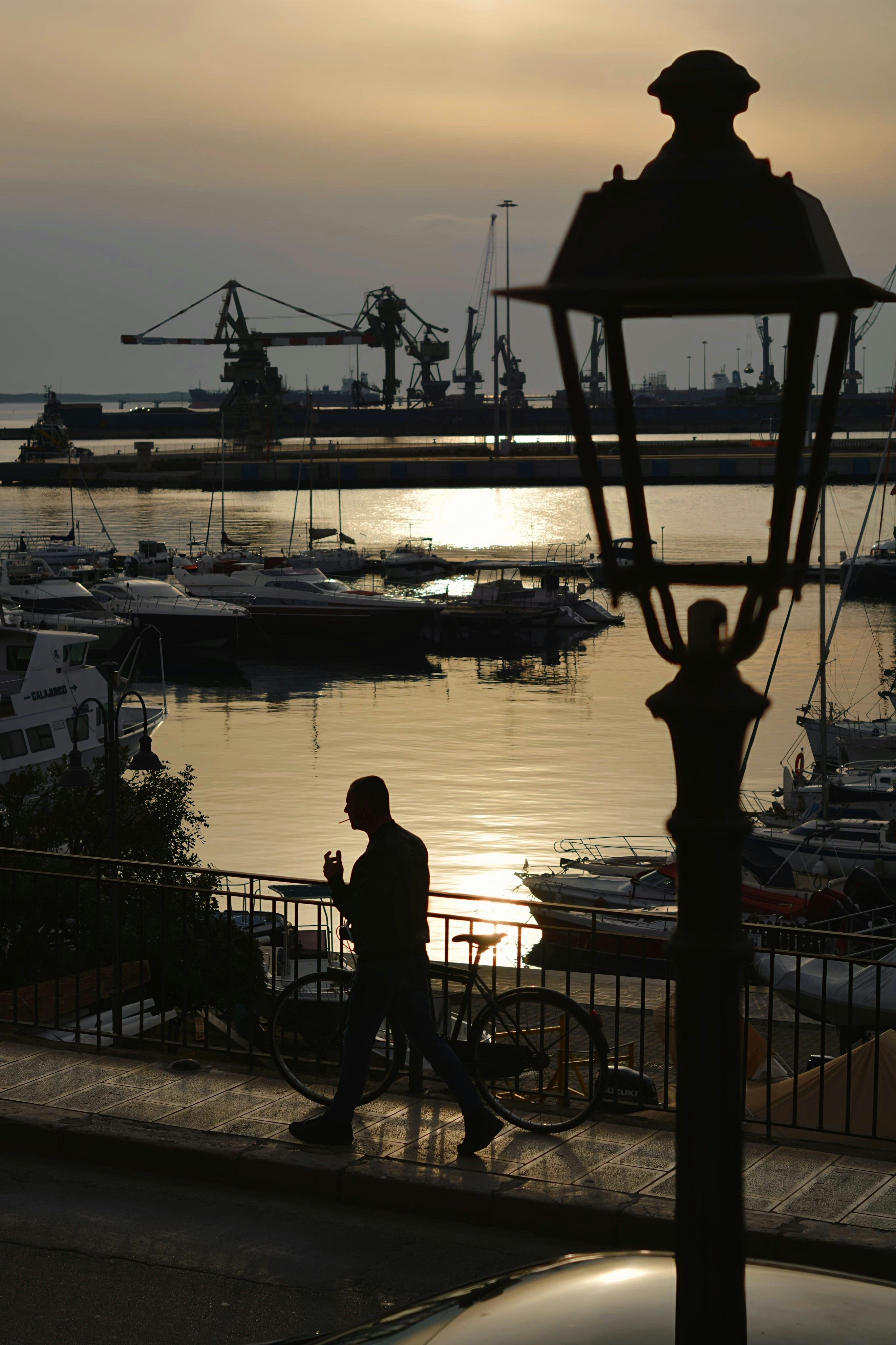Silhouette Stroll at Golden Harbor