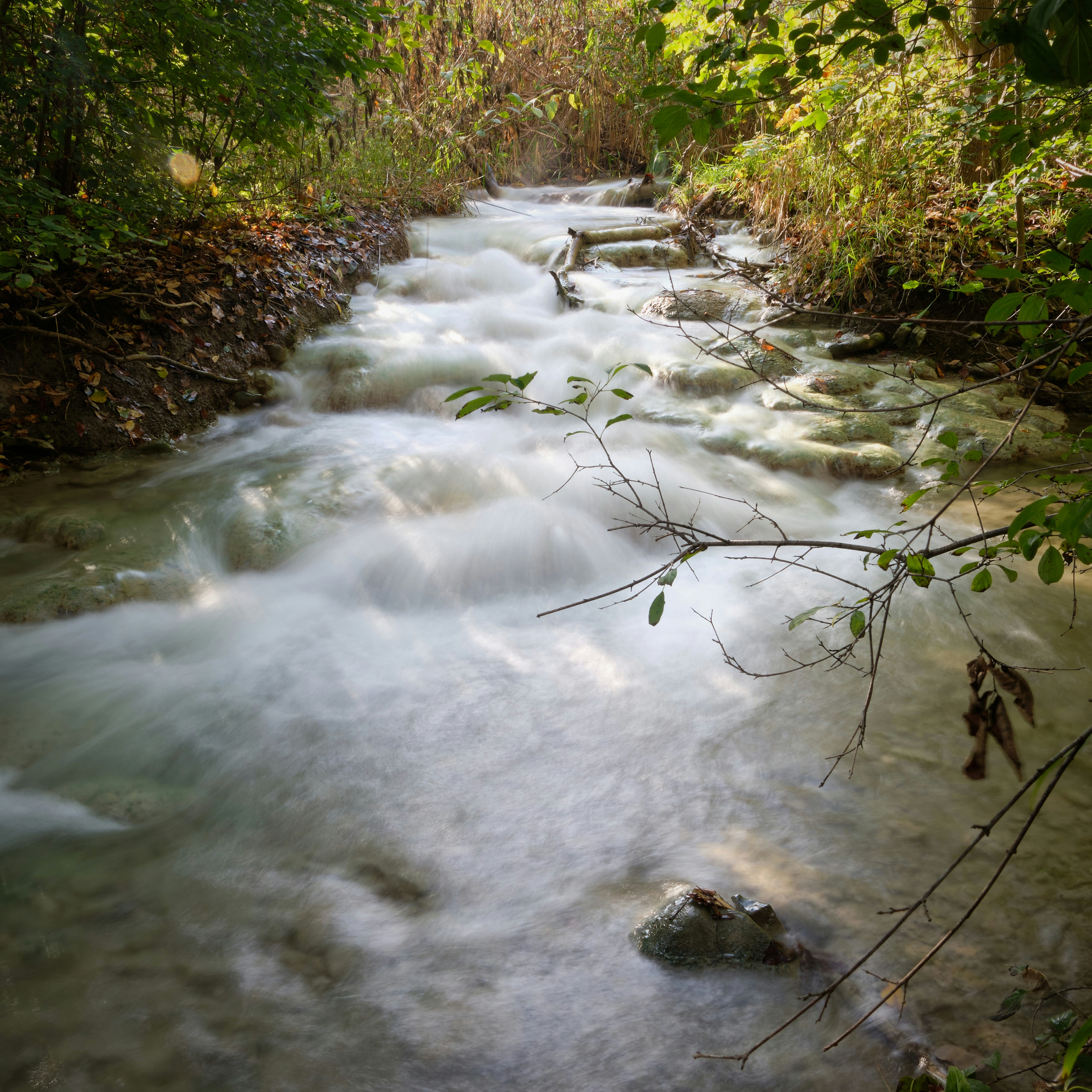 Whispering Currents Through a Green Corridor