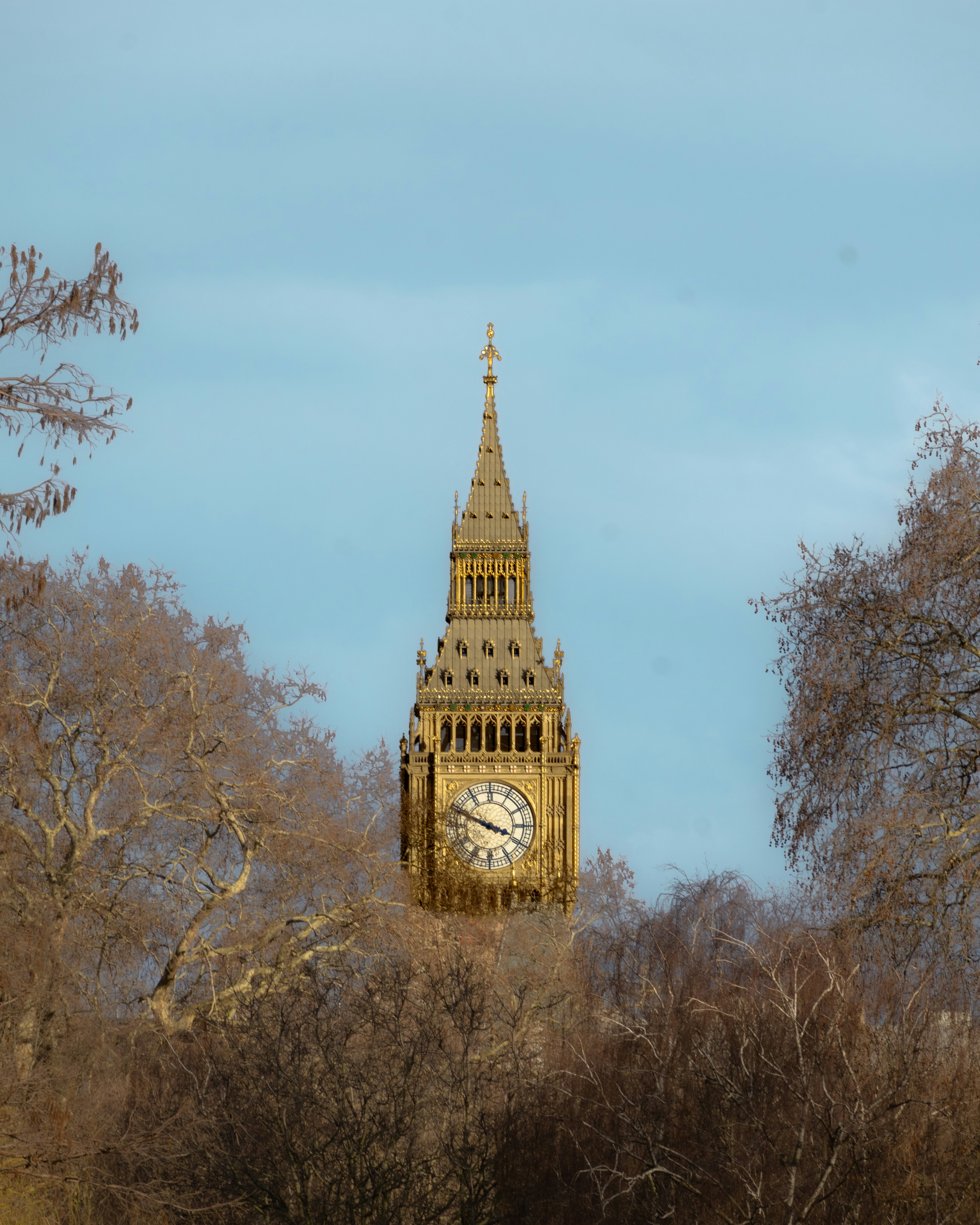  clock tower rising above winter trees