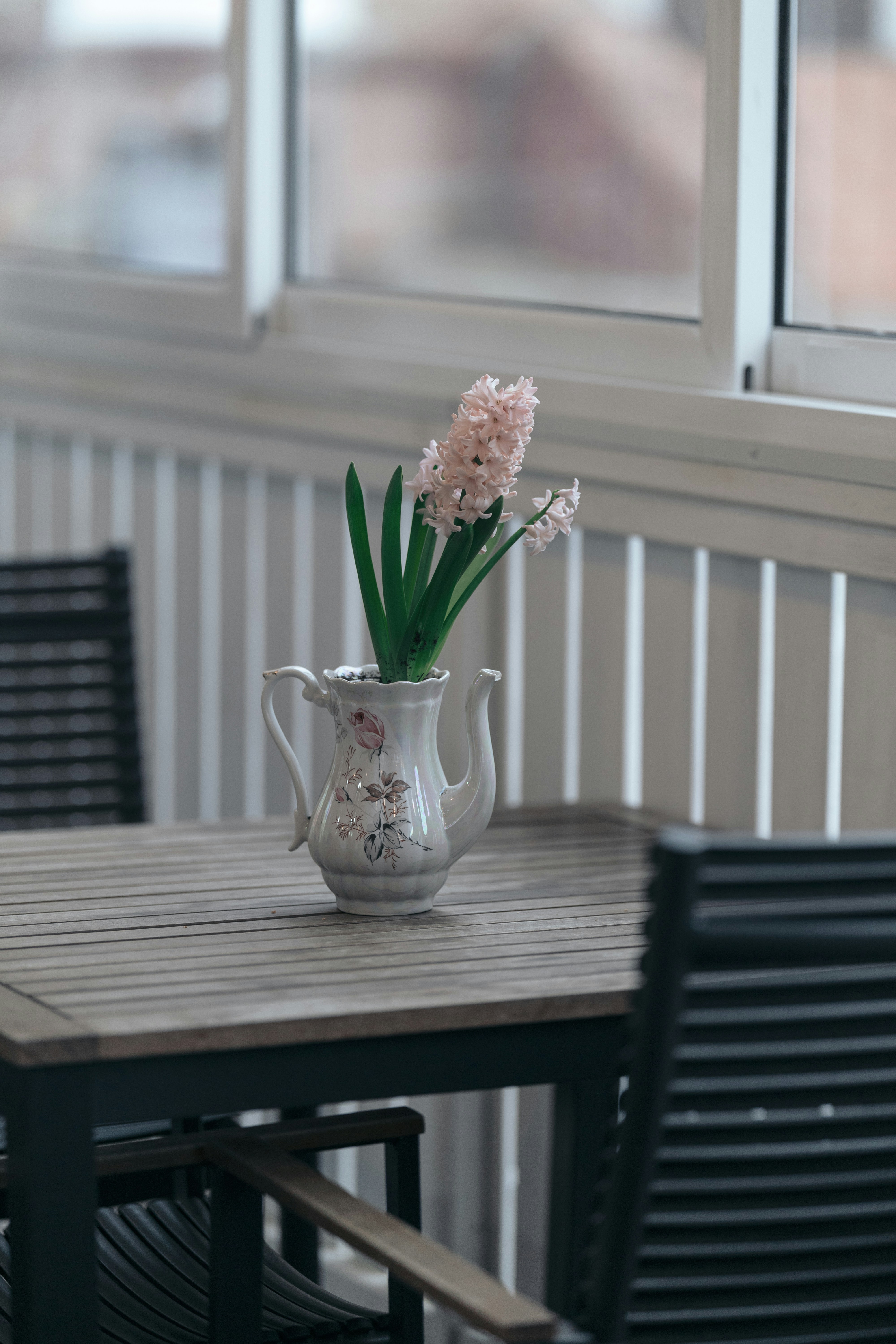Quiet Windowsill Garden: A Teacup Floral Still Life