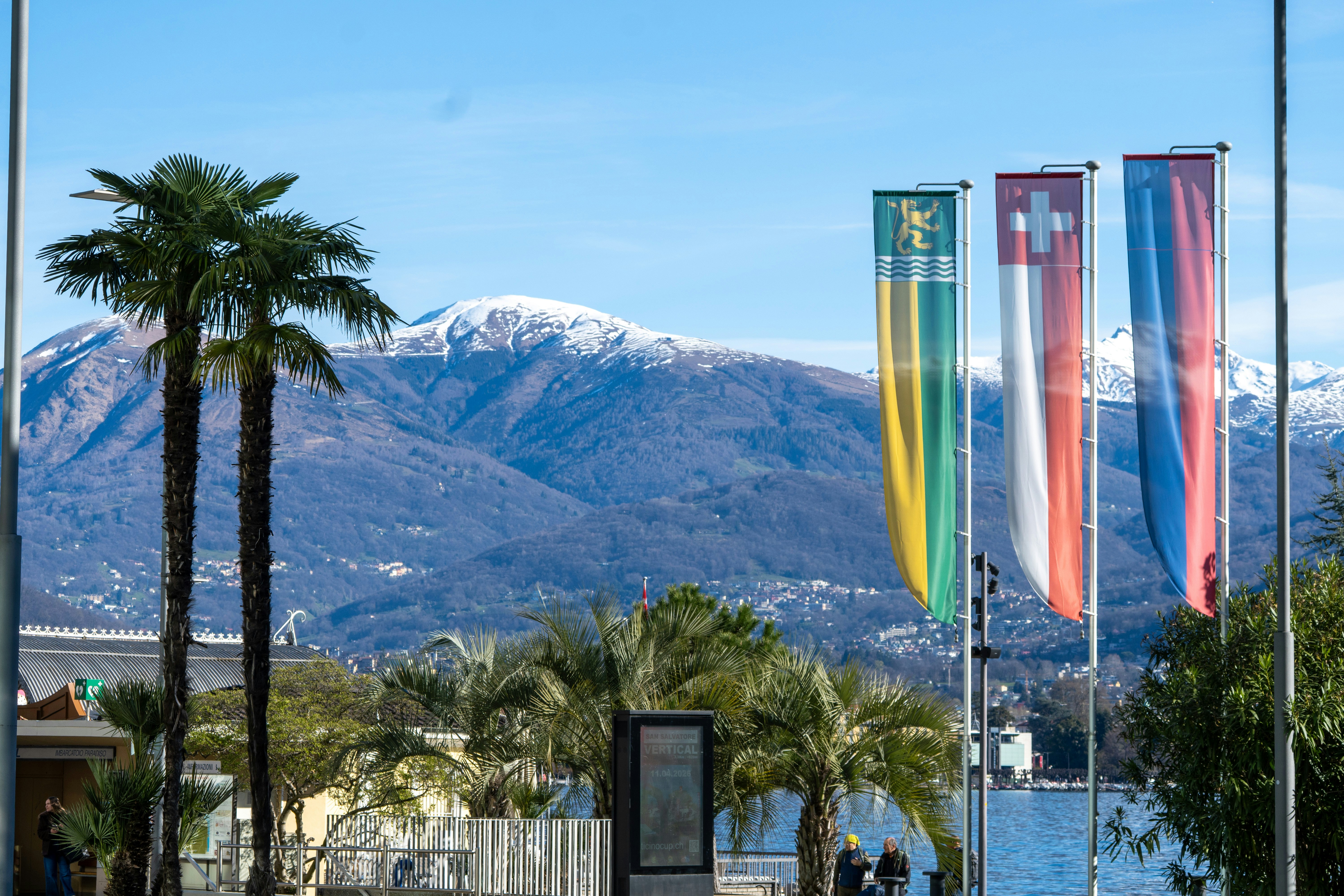 Flag Boulevard with Snow-Capped Peaks