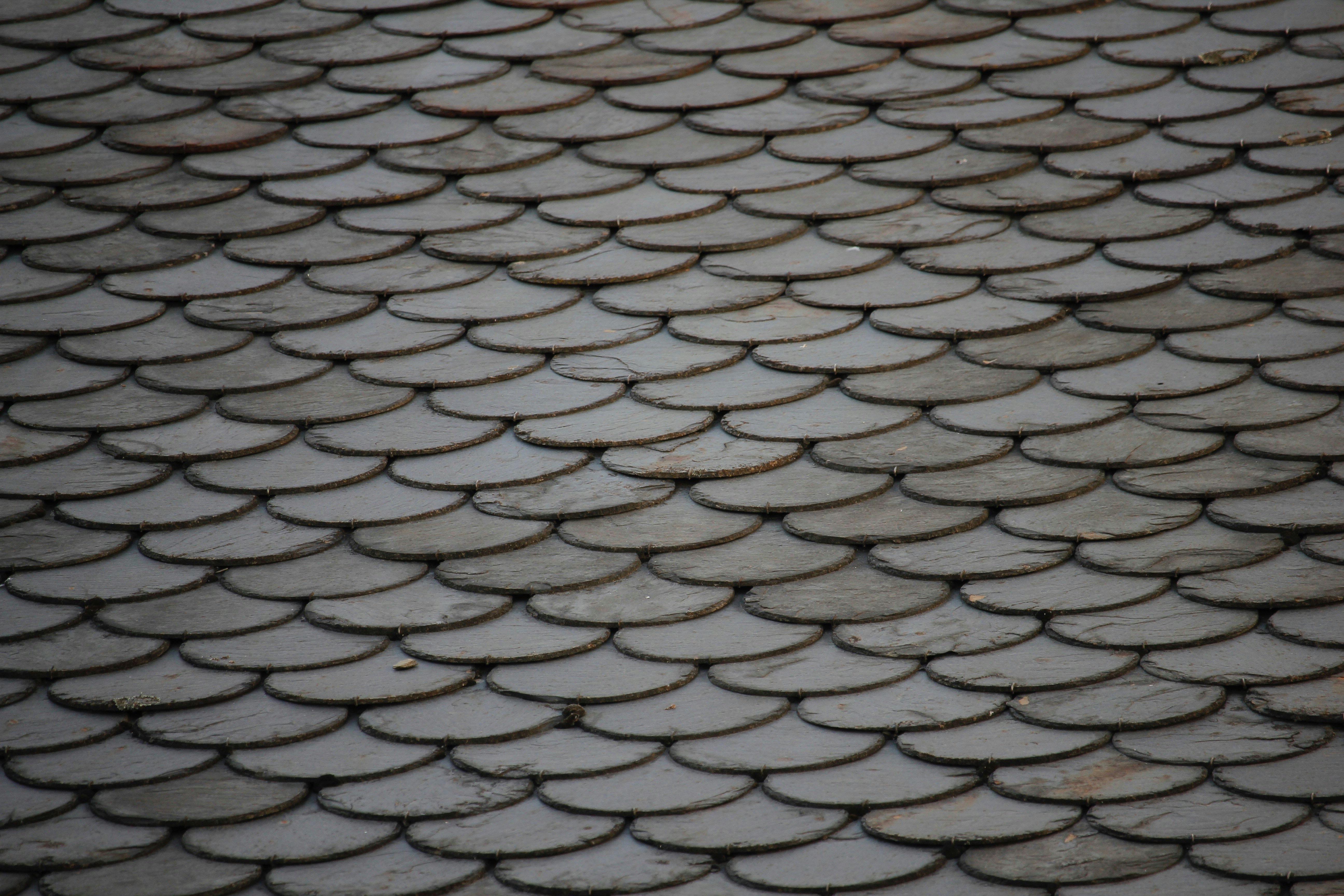 Overlapping Roof Tiles: A Rhythmic Pattern of Curves and Shadows
