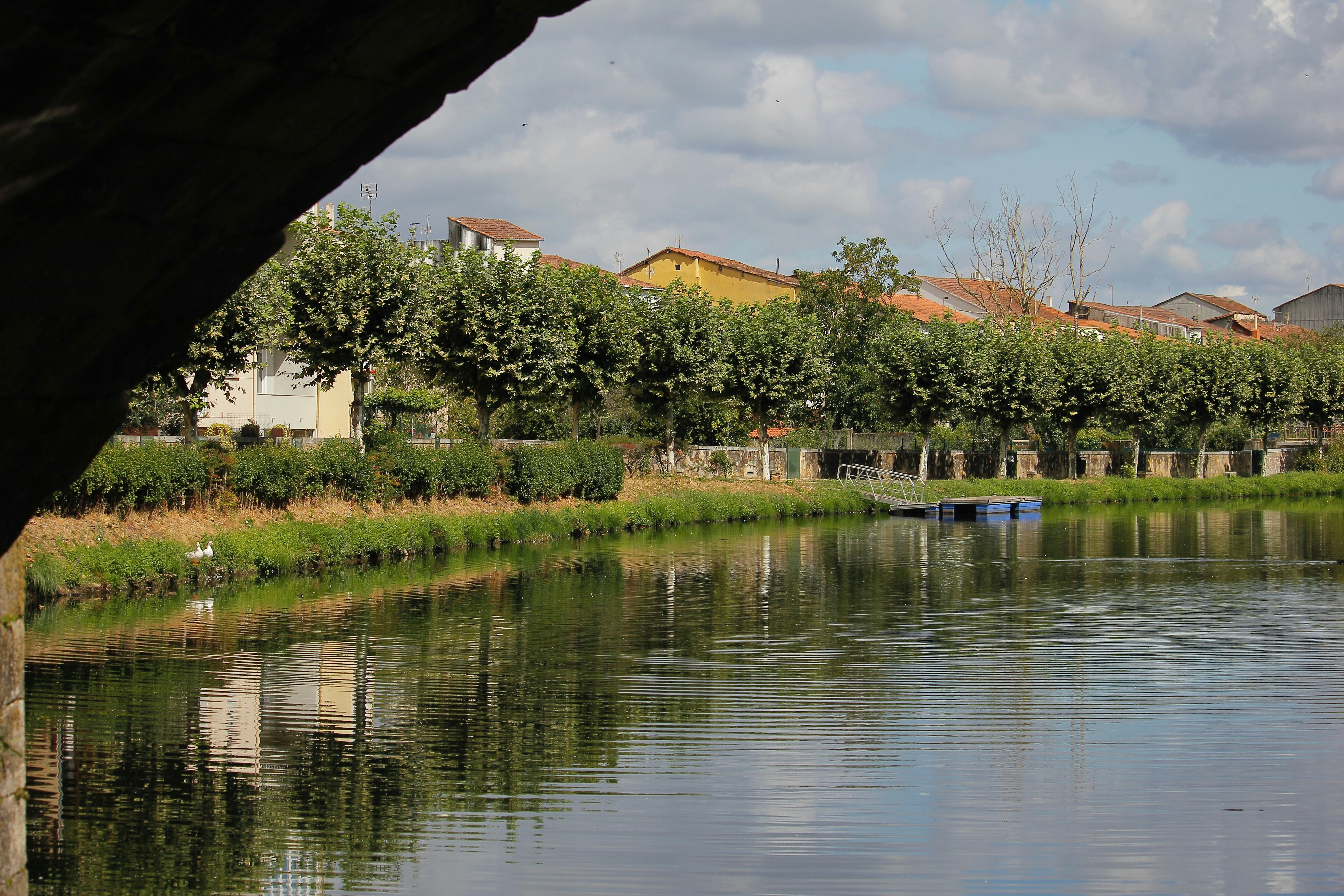 Canal-side Row of Trees and Houses Reflected in Quiet Waters