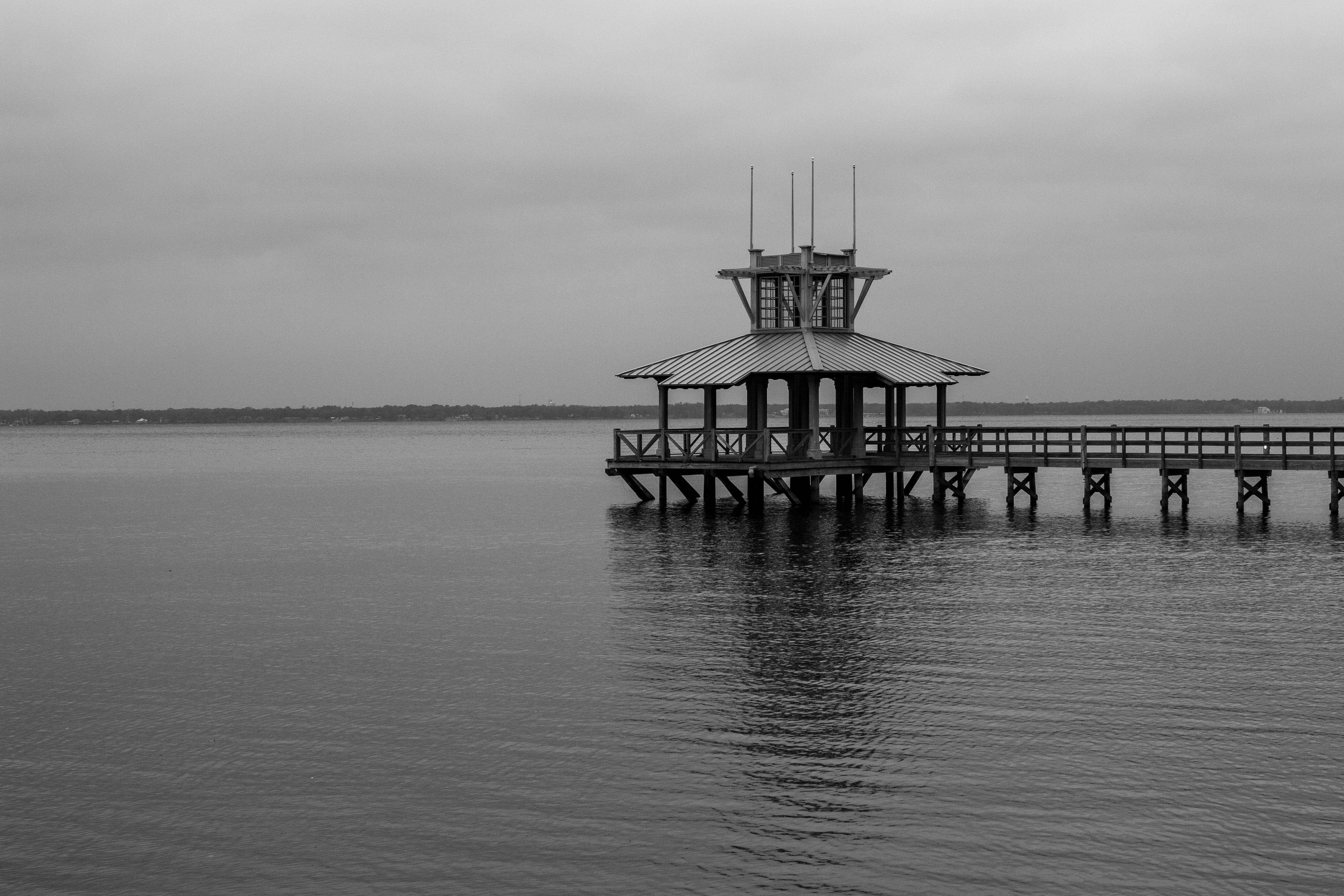 Pierwatcher at Distant Shore