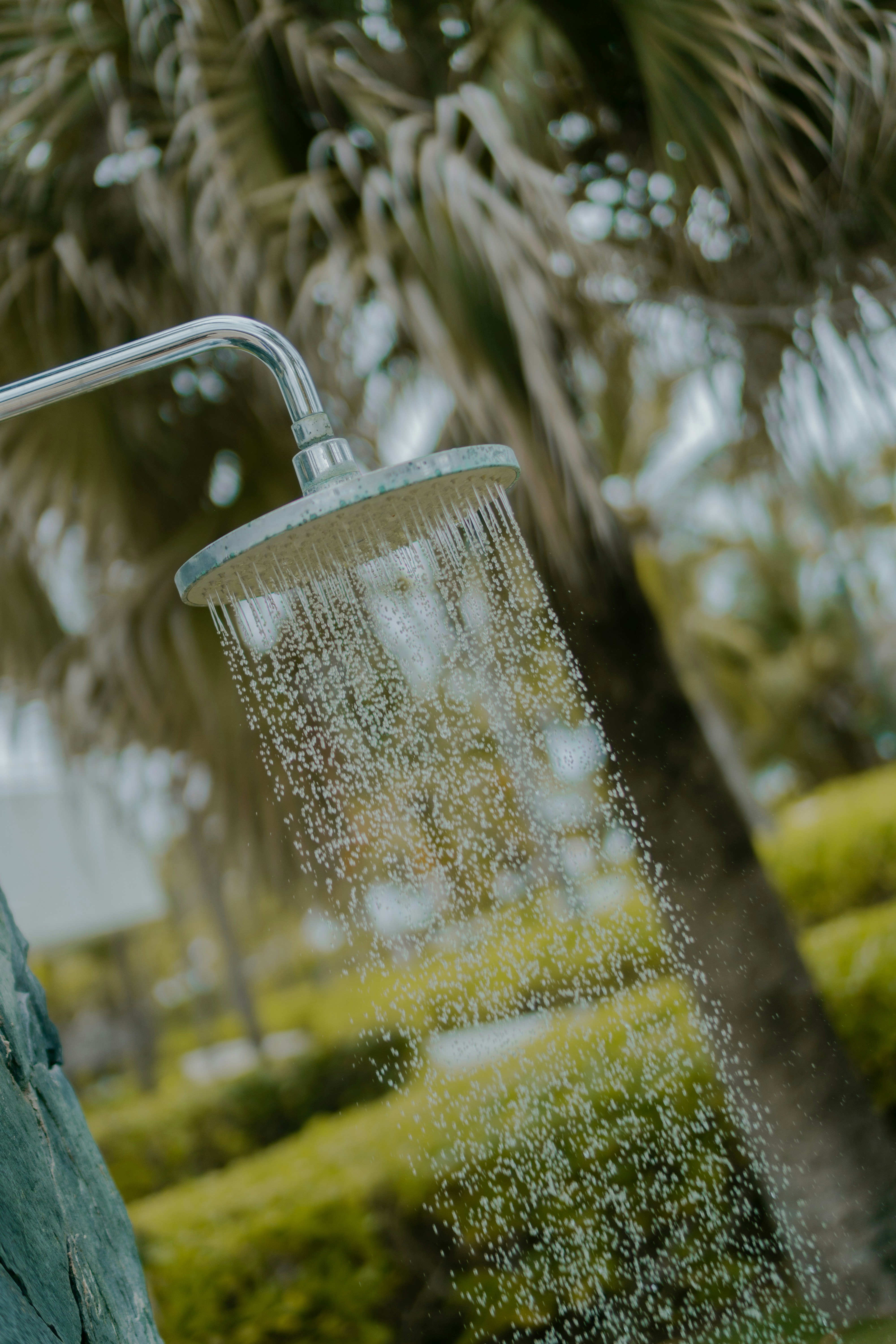 Cascading Shower Afloat in a Tropical Quiet