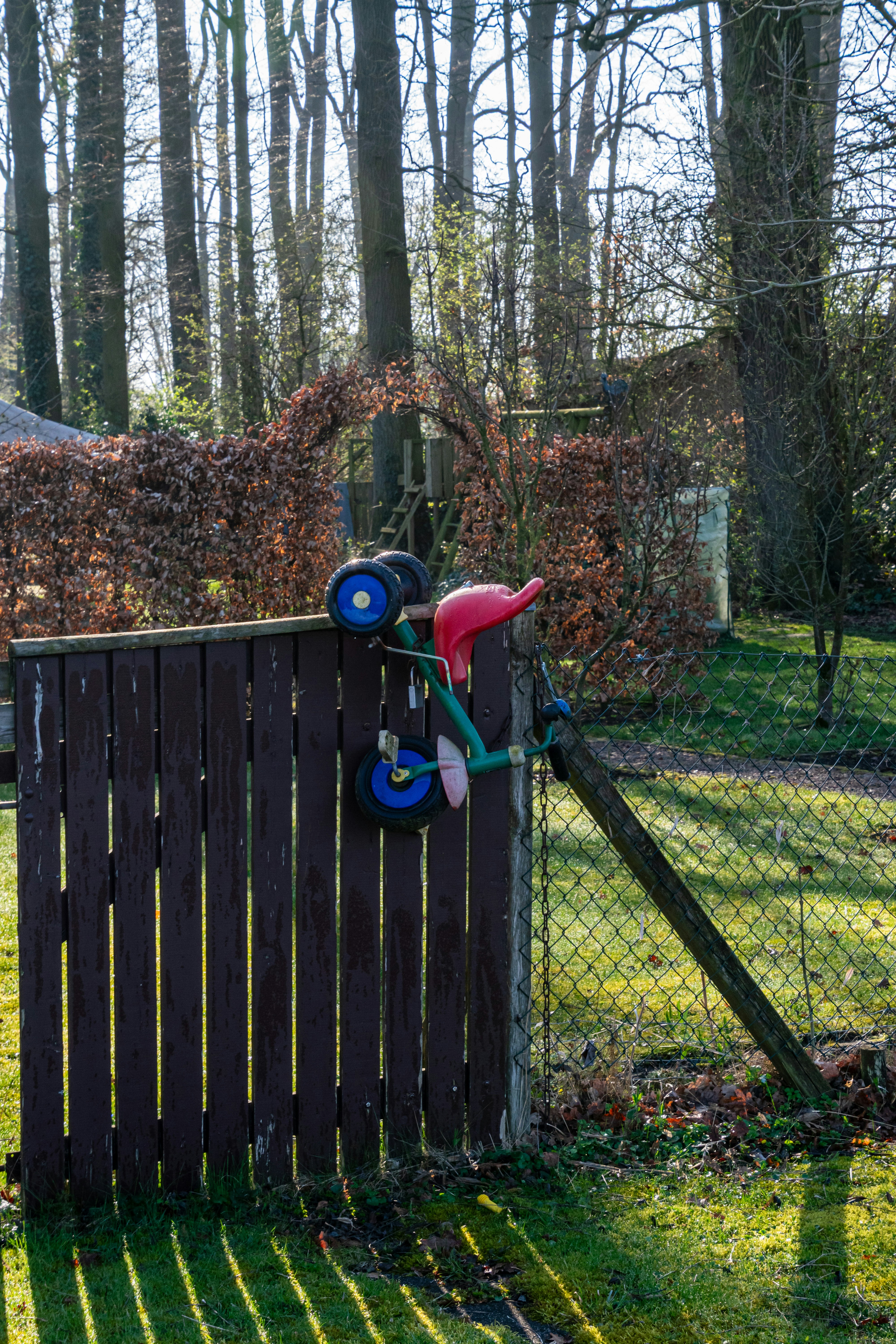 Toy tricycle clings to a weathered wooden fence in a sunlit yard