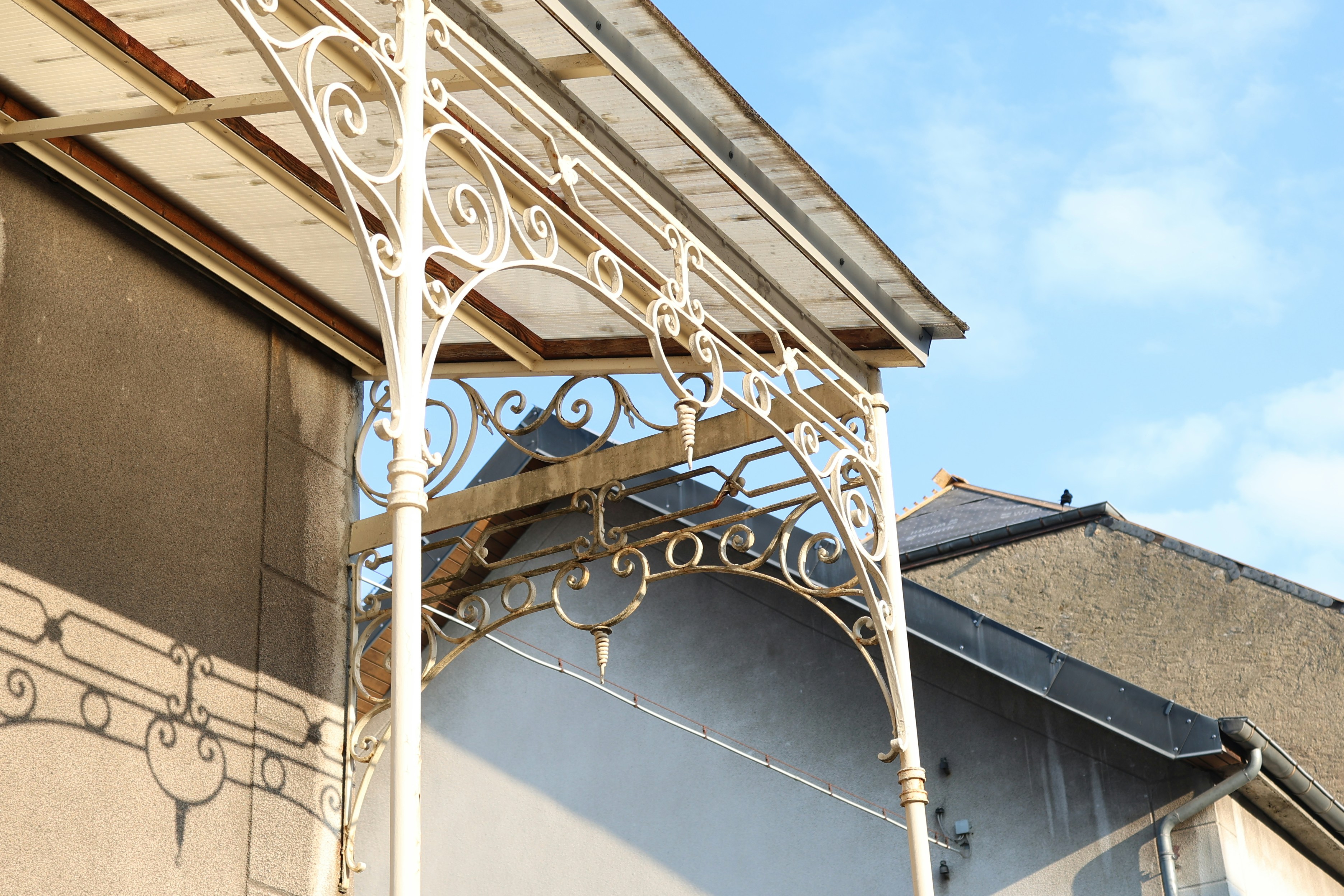 Ornate Canopy Shadows on a Sunlit Wall