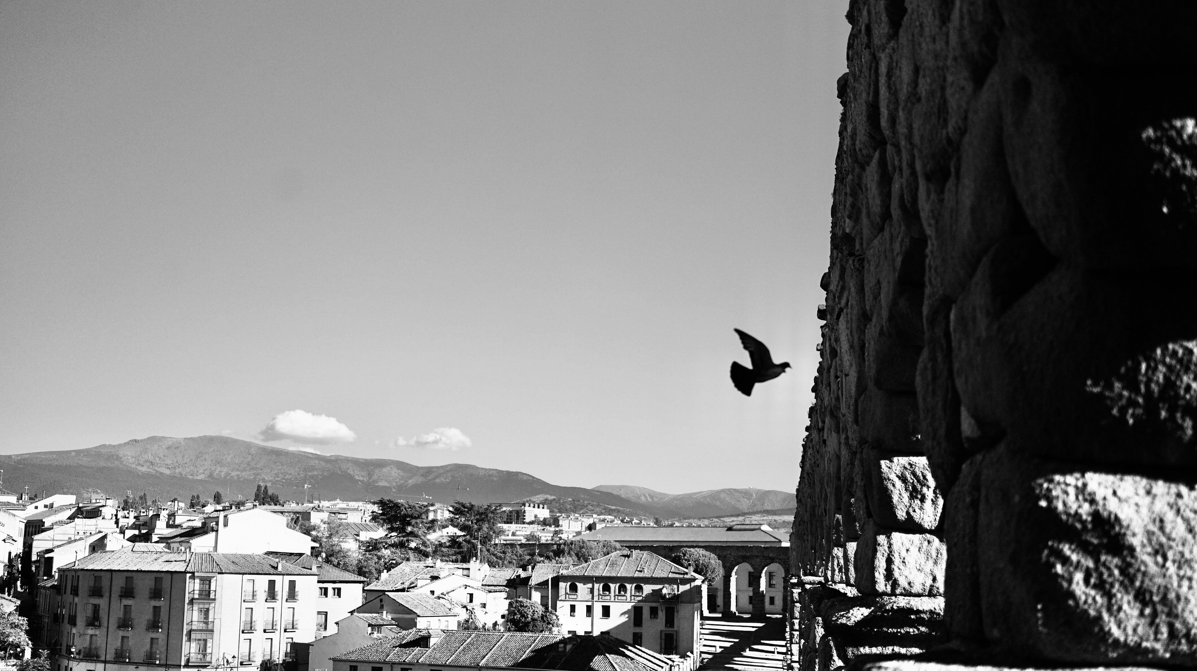 Soaring Between History and Horizon