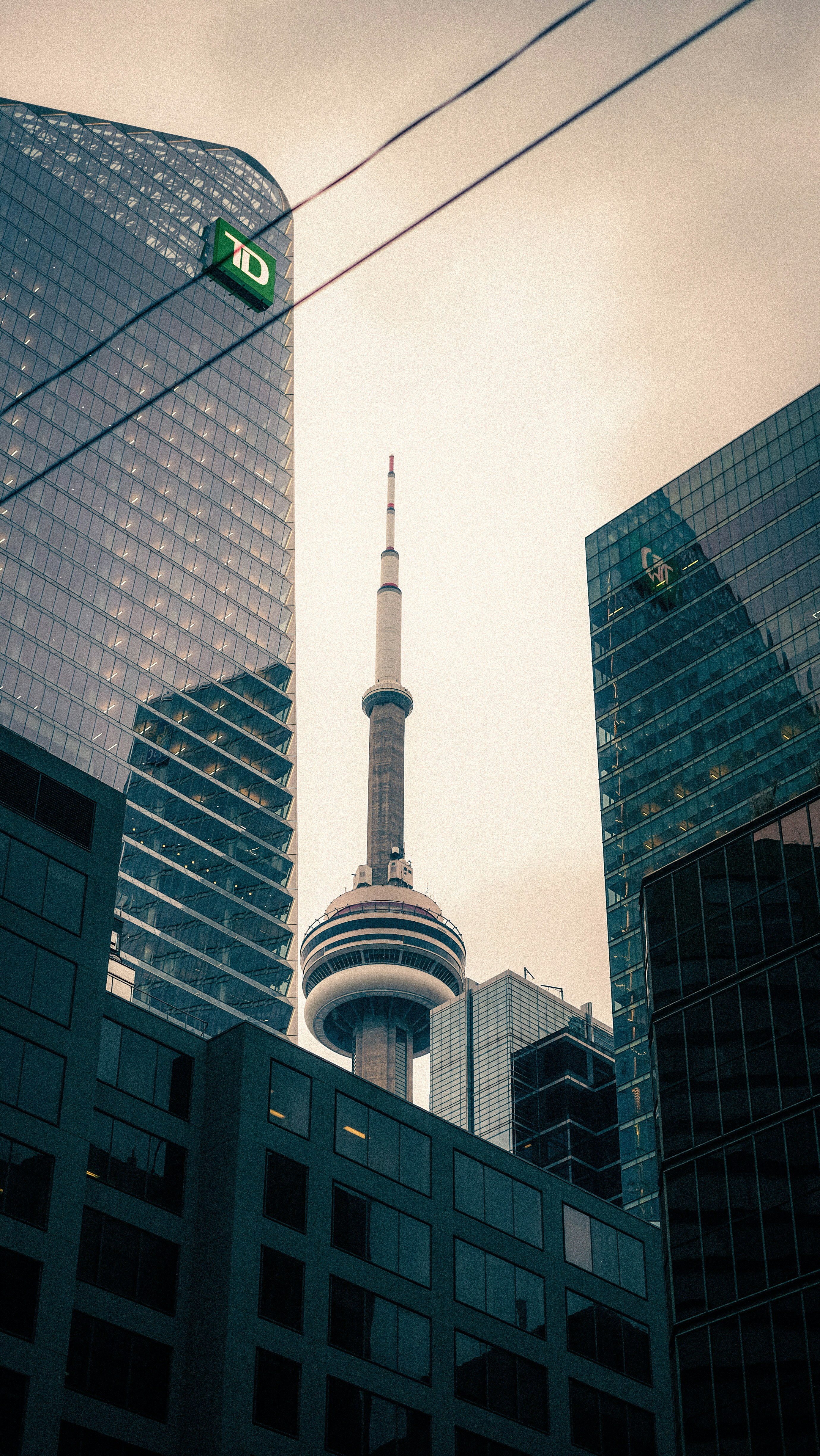 Tower Between Glass Giants
