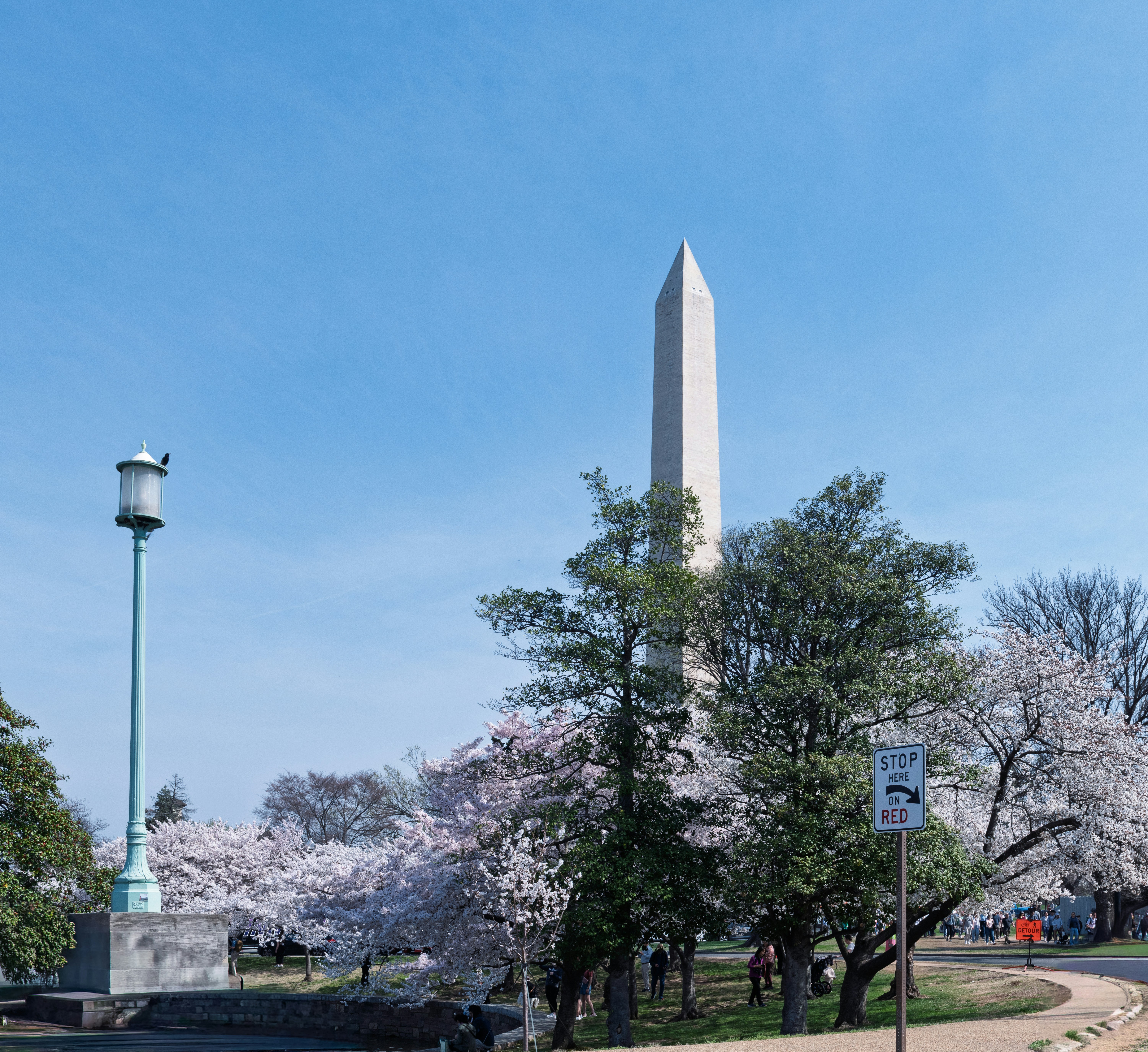 Whispering Obelisk: A Park Space Framed by Blossoms and Blue Sky