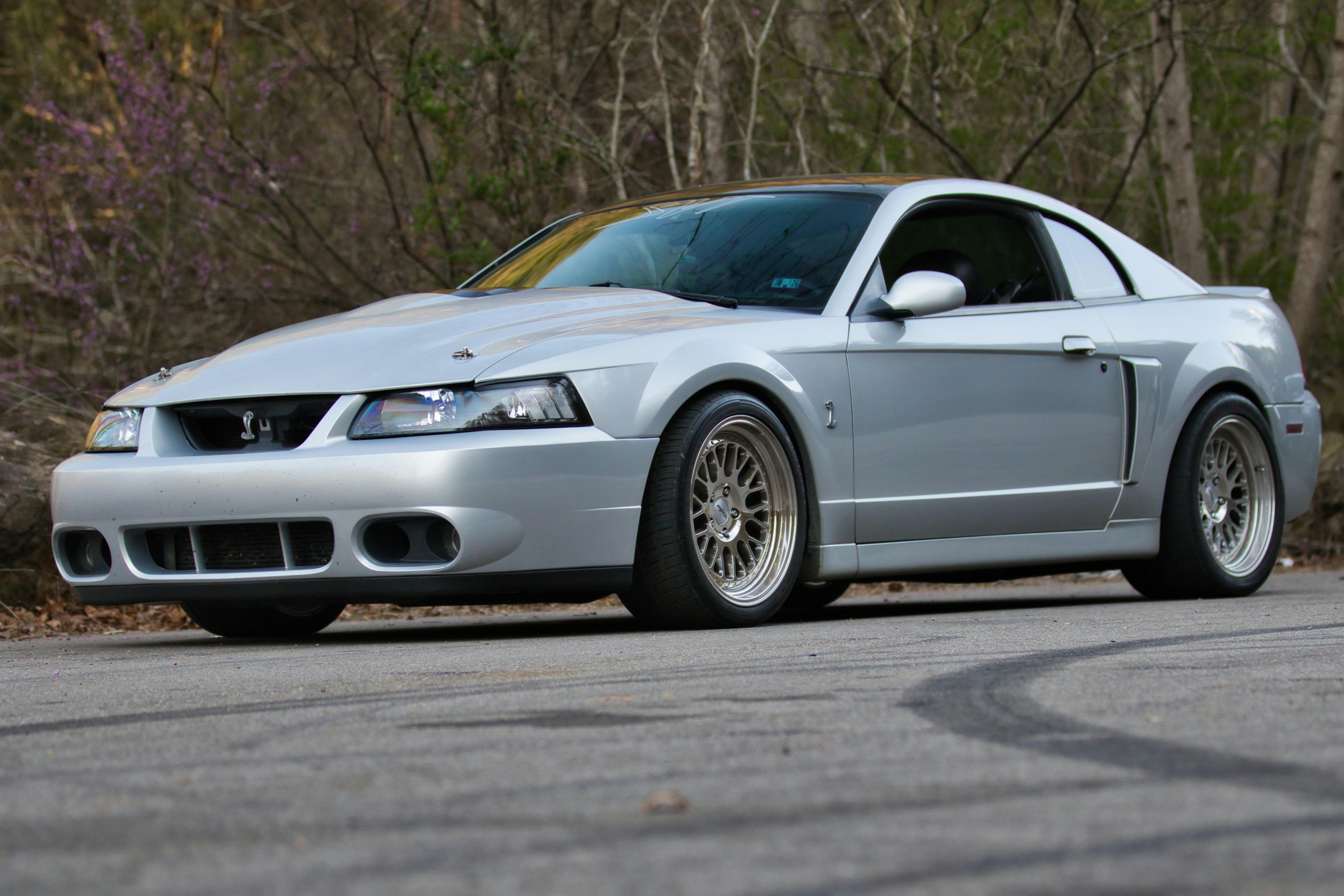 Silver Ford Mustang on a Quiet Road: A Gearhead’s Gleam