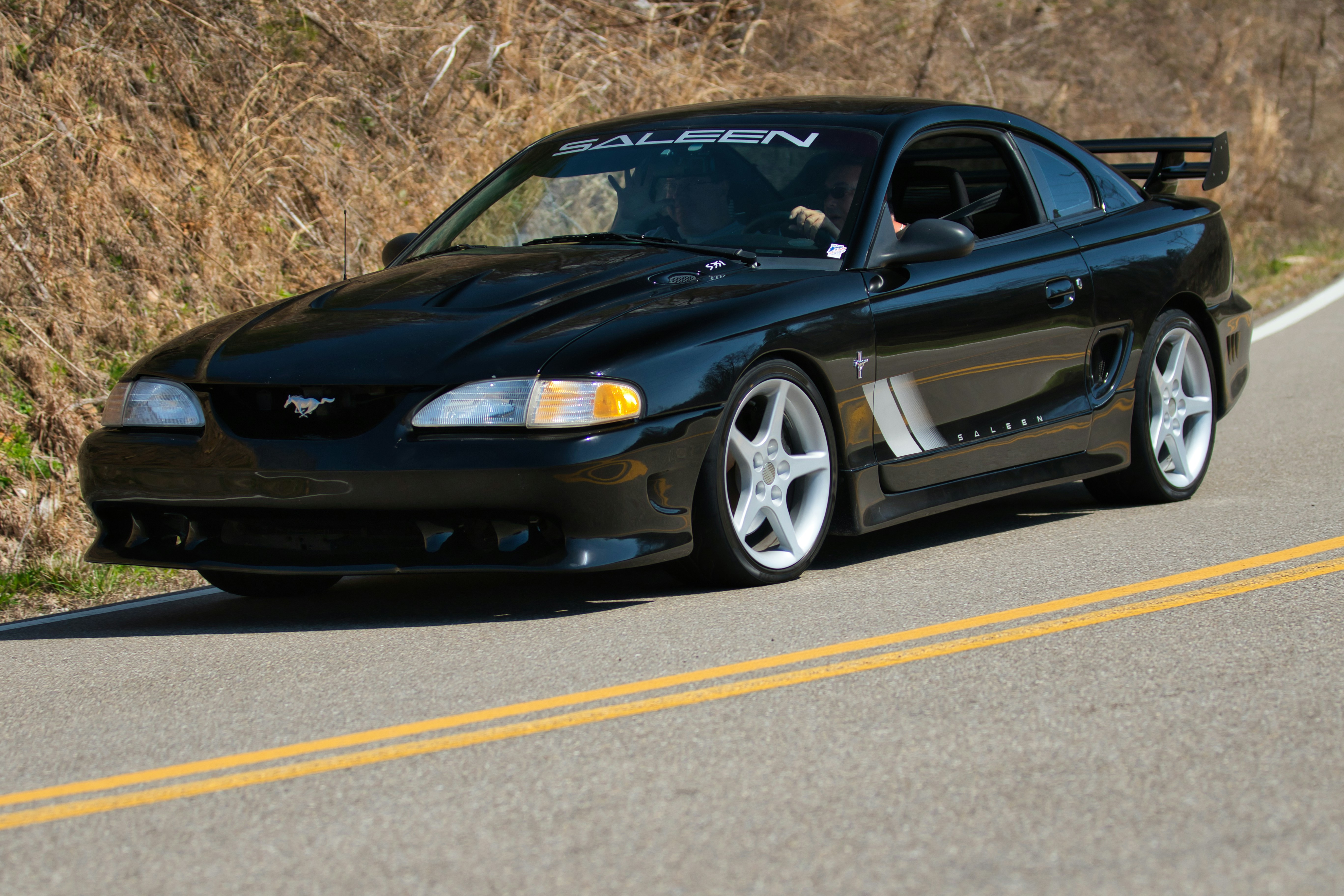 Midnight Stallion on the Mountain Road