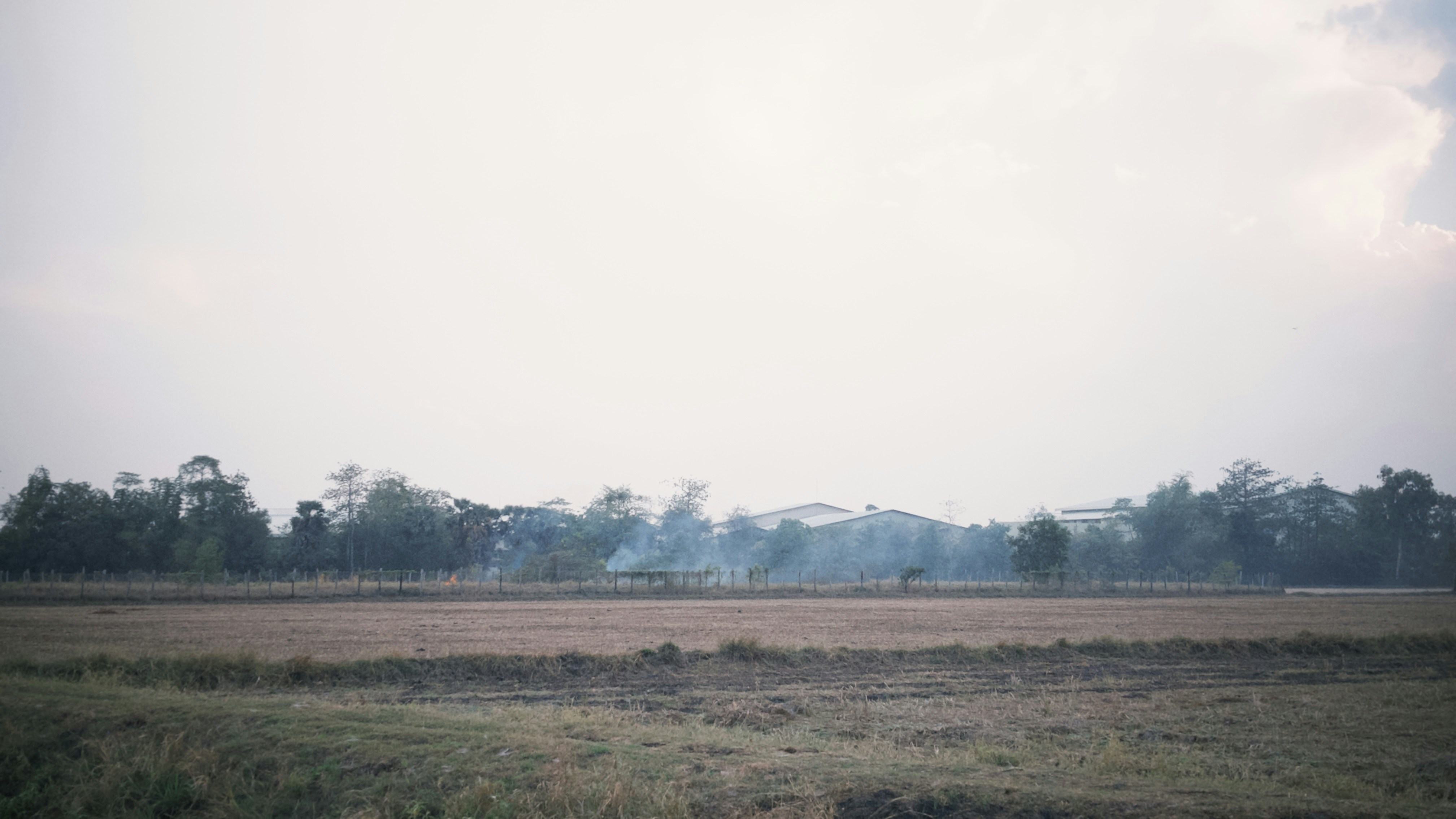 Horizon Choir: Quiet Farmstead Under a Woolly Sky