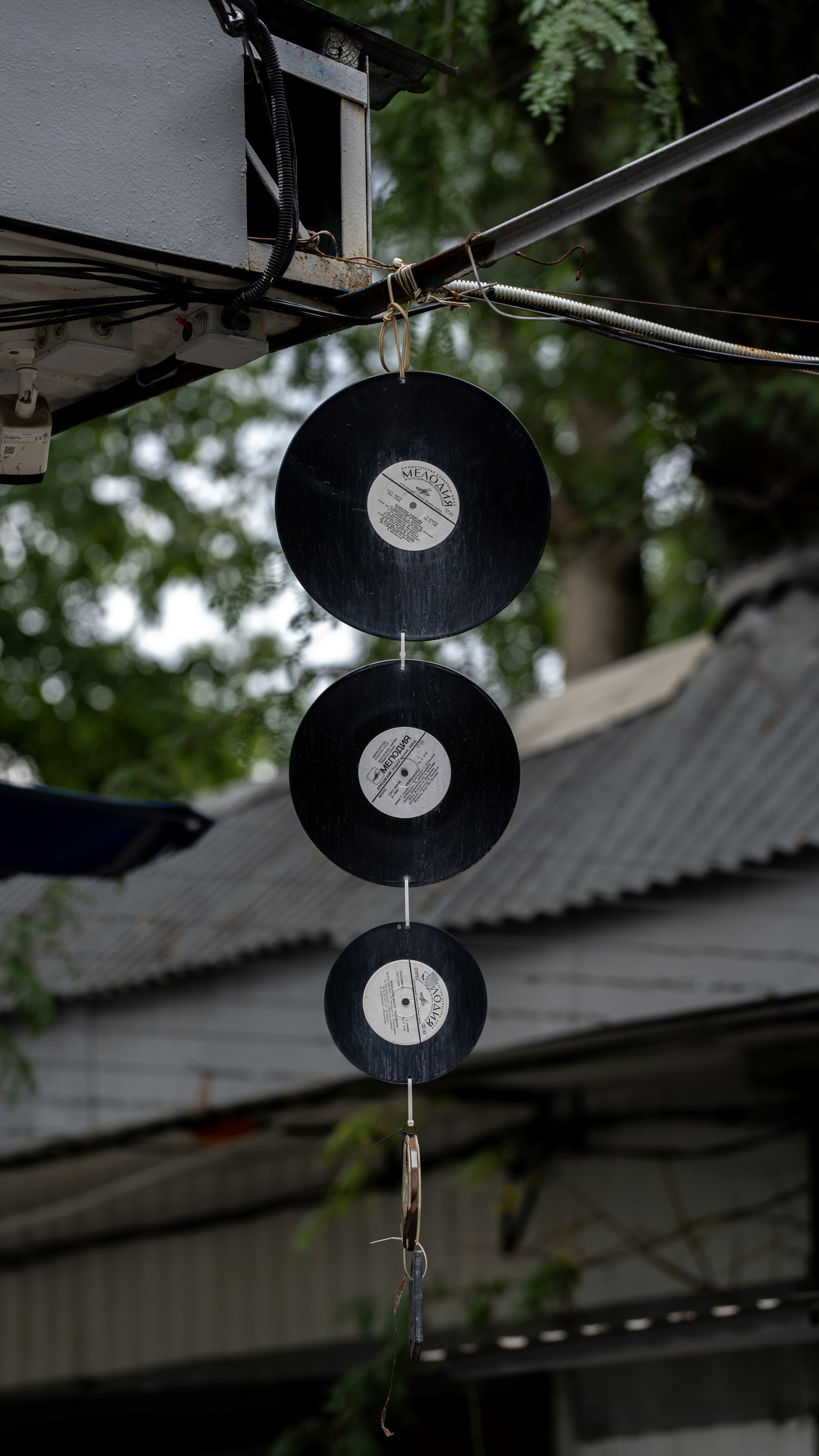 Vertical Ring of Vinyl: three hanging records as a kinetic sculpture