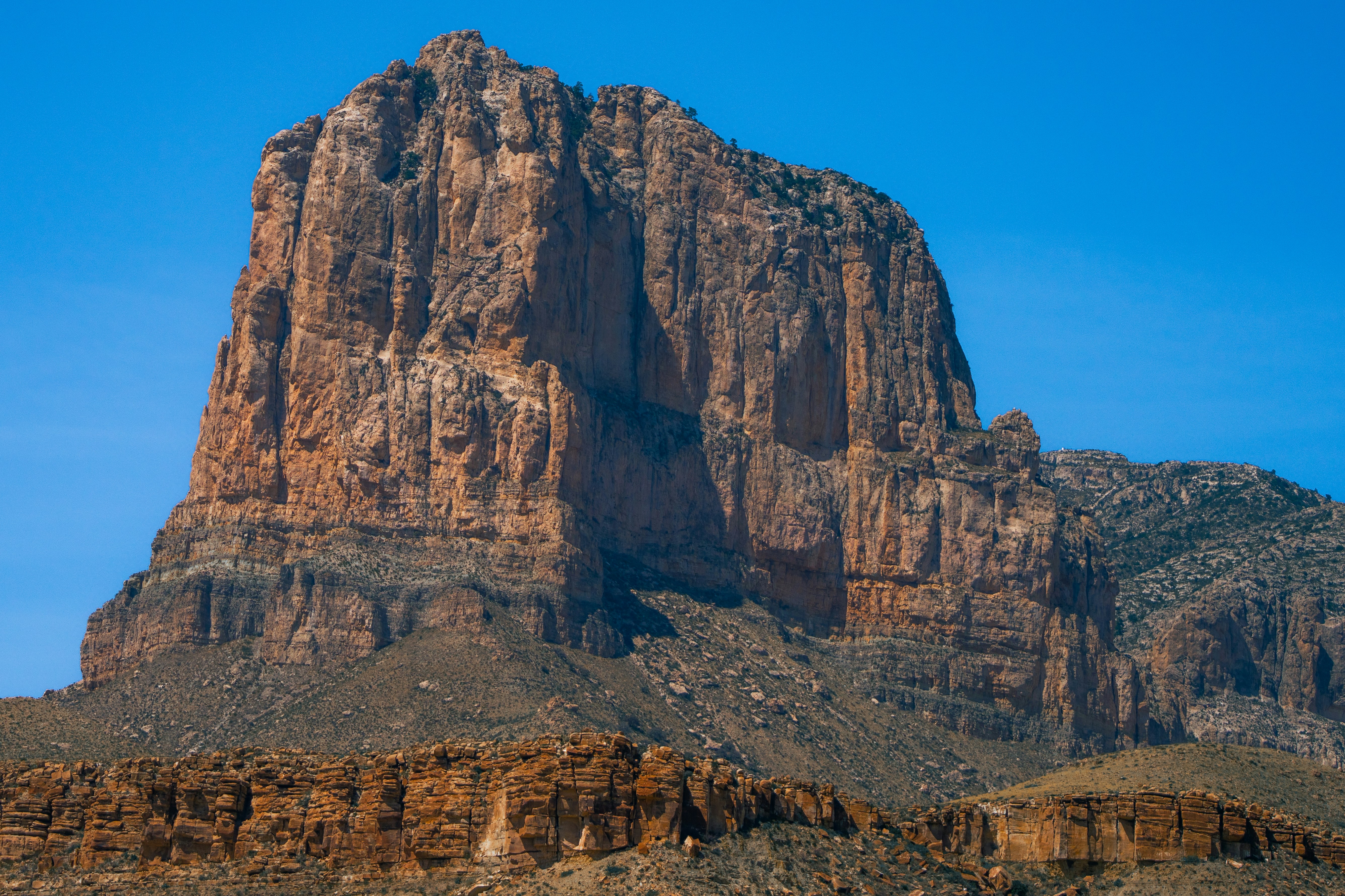 Majestic Mesa Sentinel