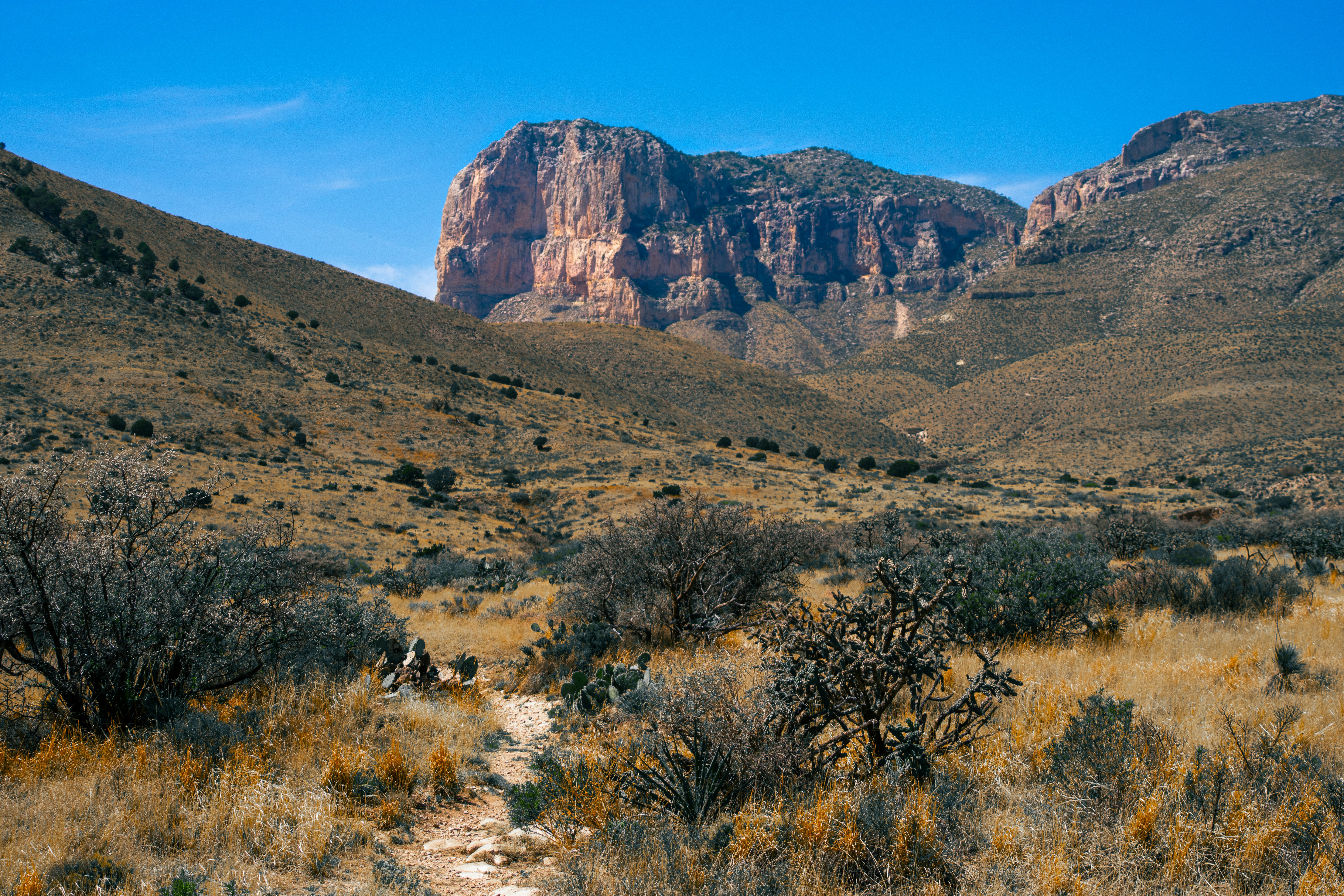 Desert Spur with Majestic Mesa