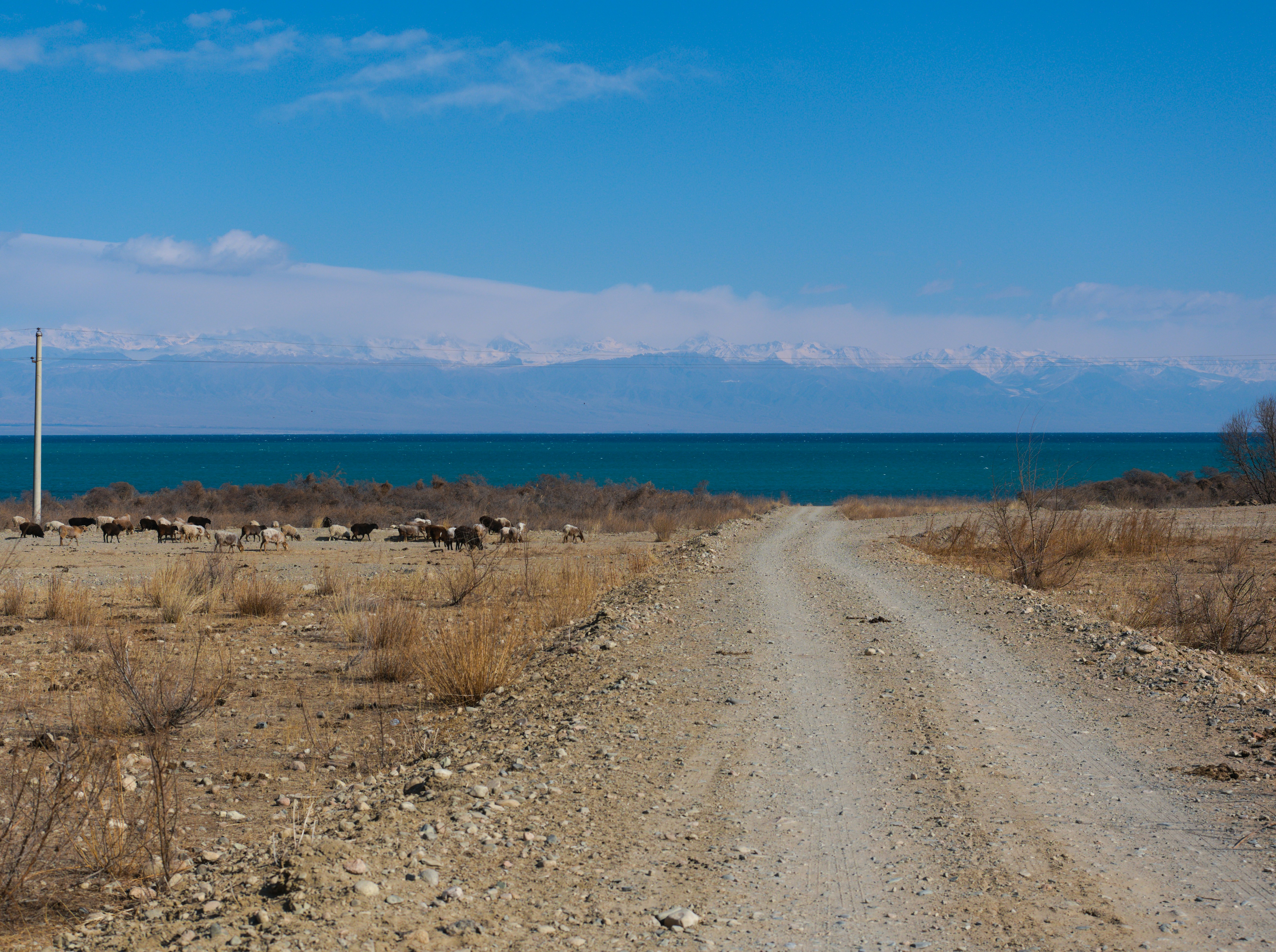 Dusty Road to the Sea: A Quiet Coastal Path