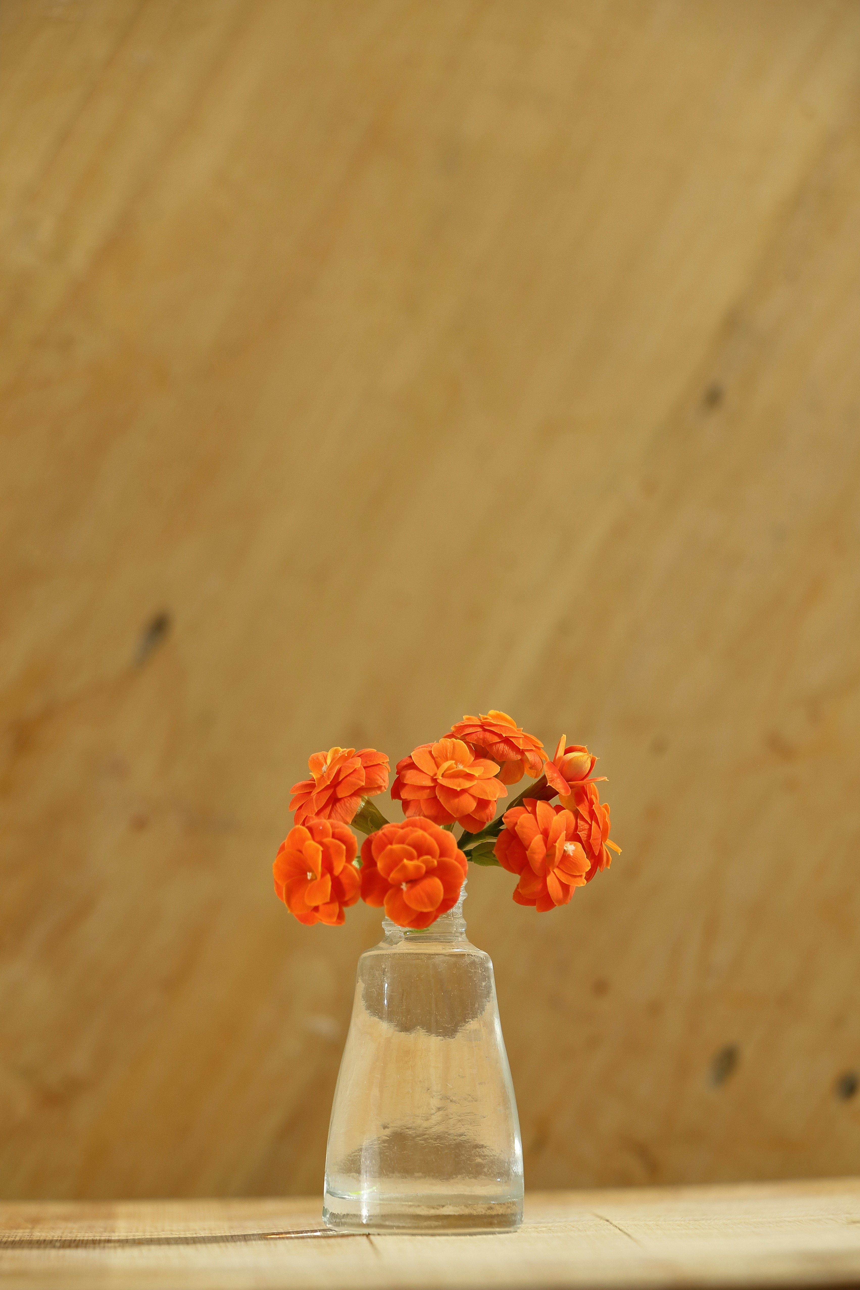 Orange blossoms in a glass vase sit on a wooden table spotlighted by warm light