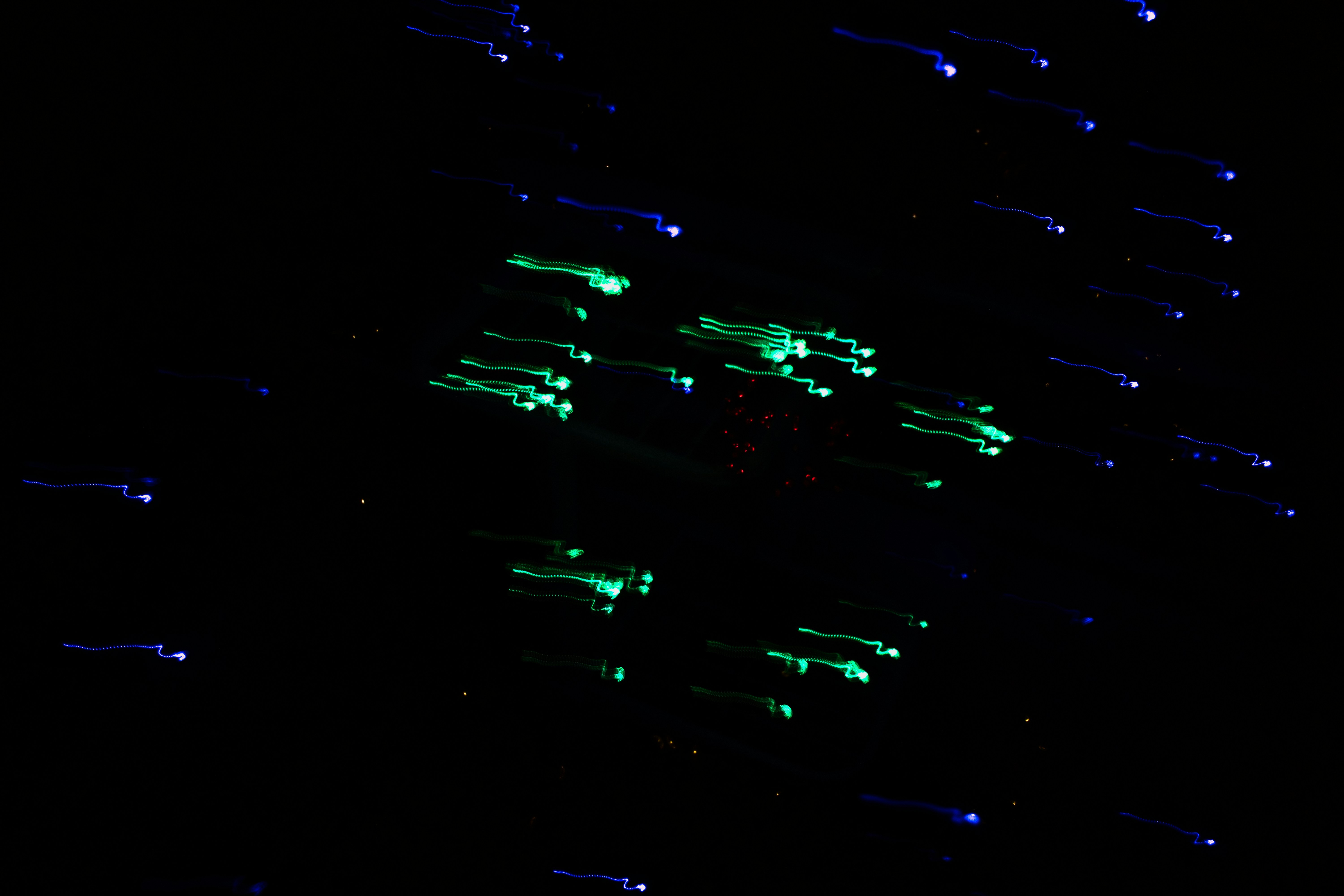 Neon Trails in the Night: Luminous Streaks Across a Dark Canvas