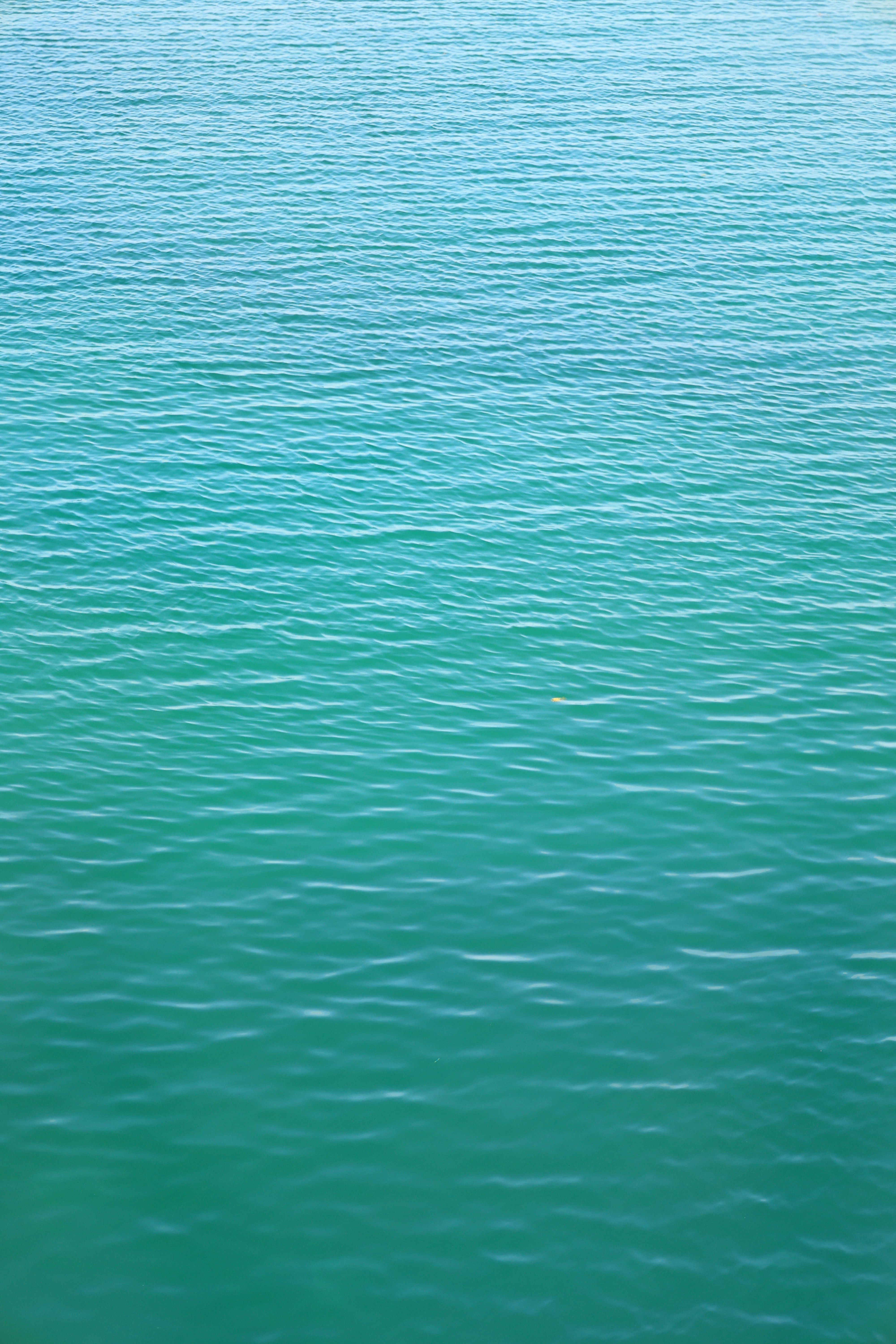 Expanse of Turquoise Sea: Gentle Ripples Across a Calm Horizon