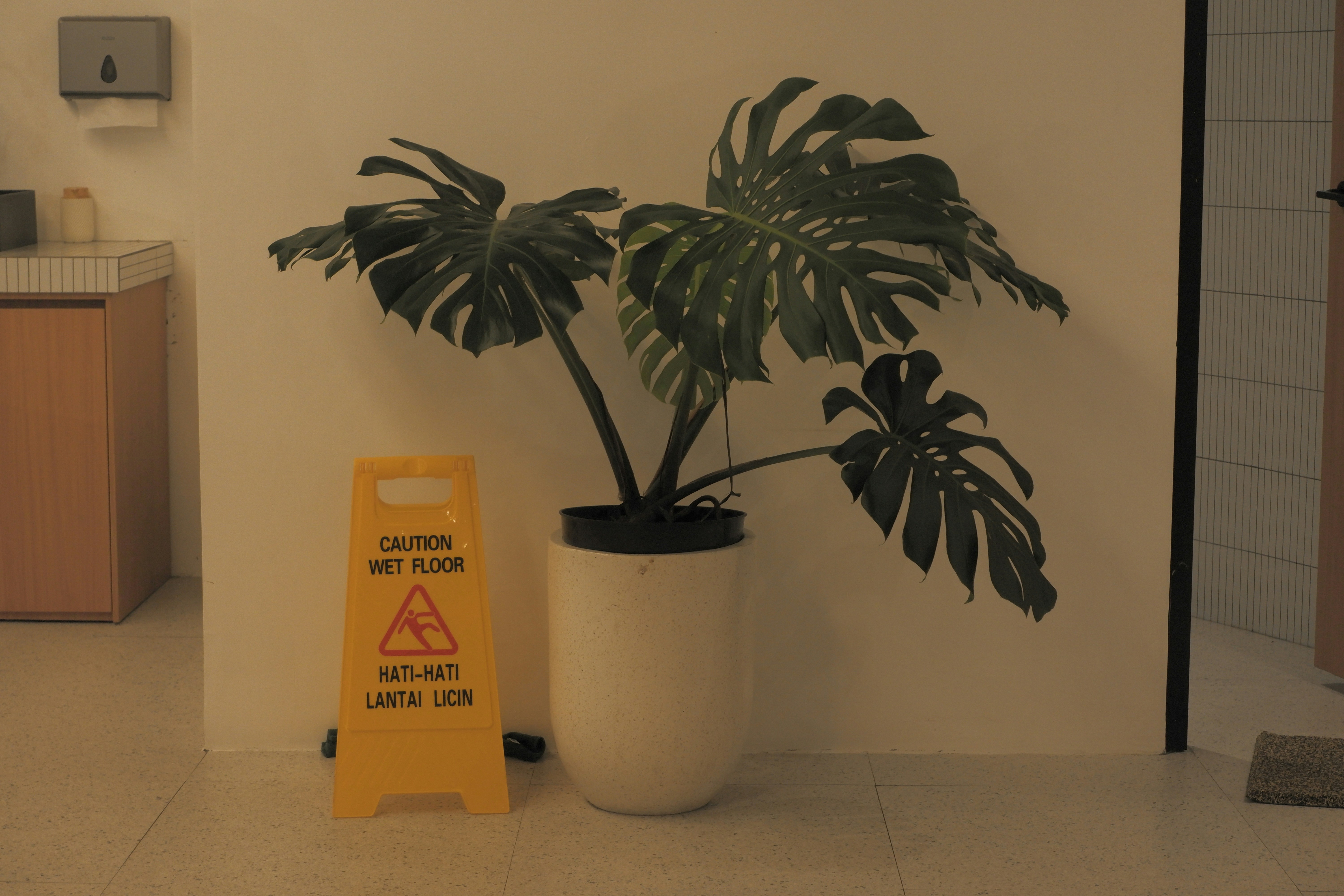 Indoor Oasis: A Monstera by a Caution Sign