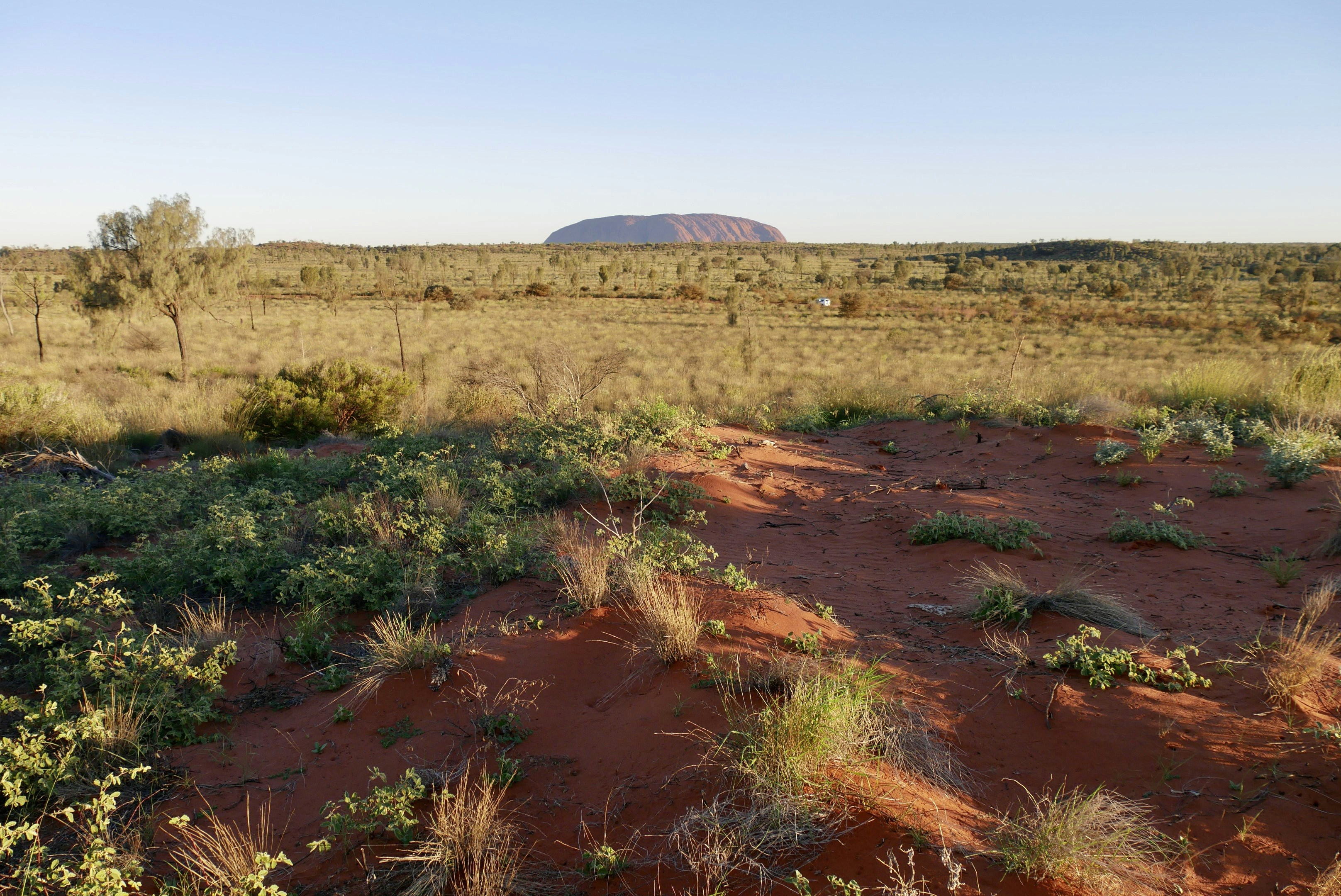 Desert Horizon: Red-soil Flats with Faraway Mesa