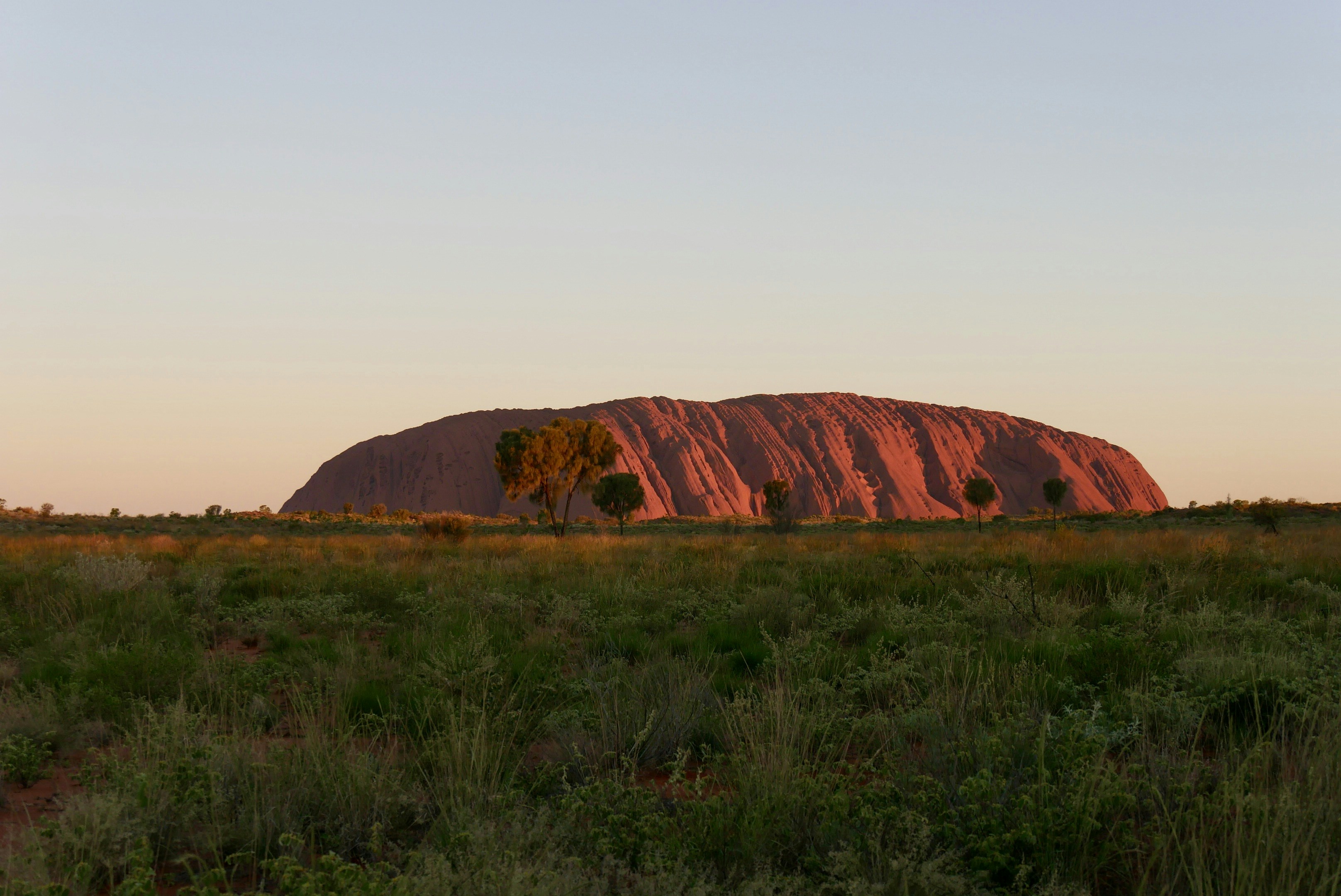Sunlit Monolith: Uluru at Golden Hour