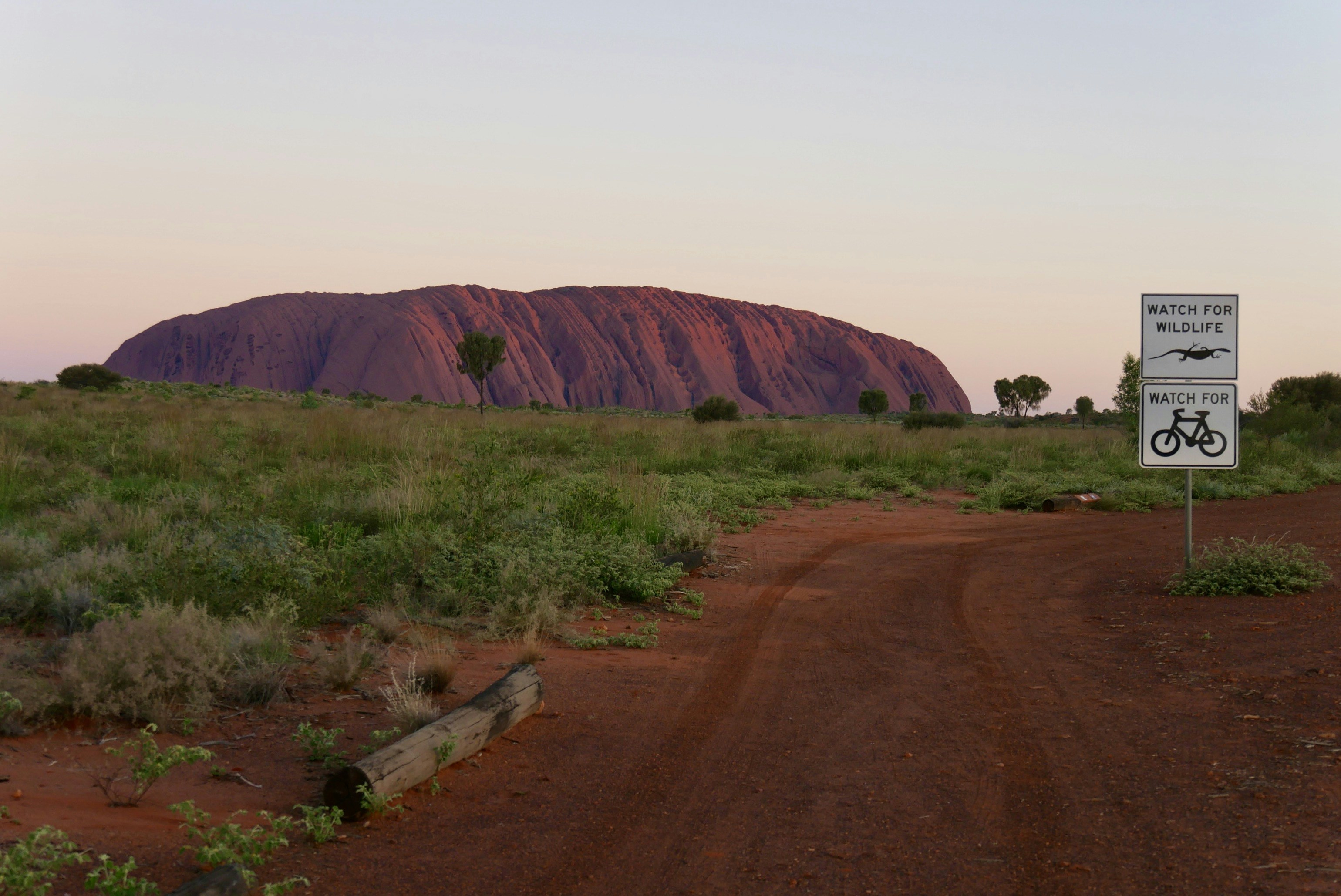 Red Monolith Rising: A Desert Road toward Uluru at Sunset