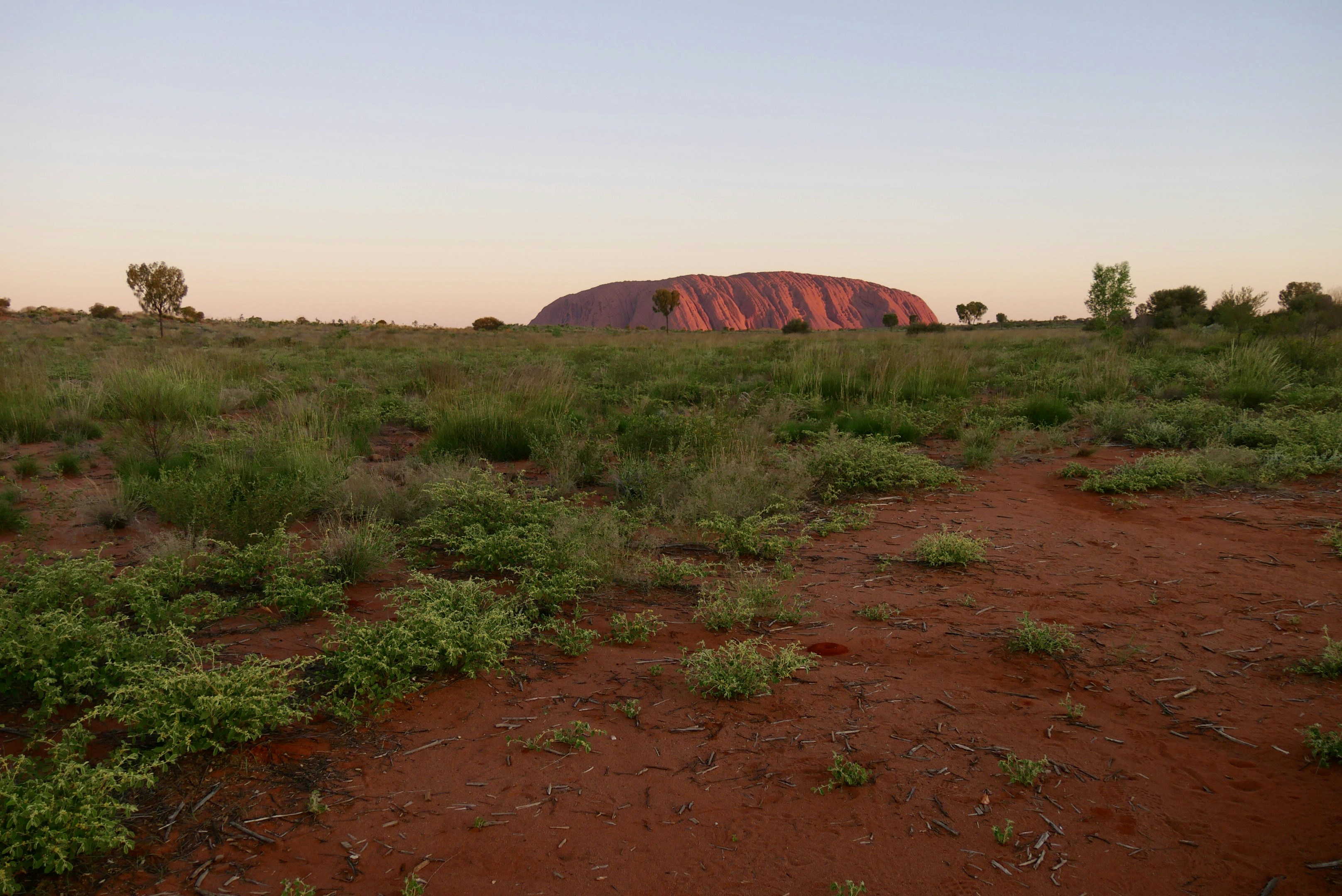 Twilight at Uluru: Red Desert Spotlight