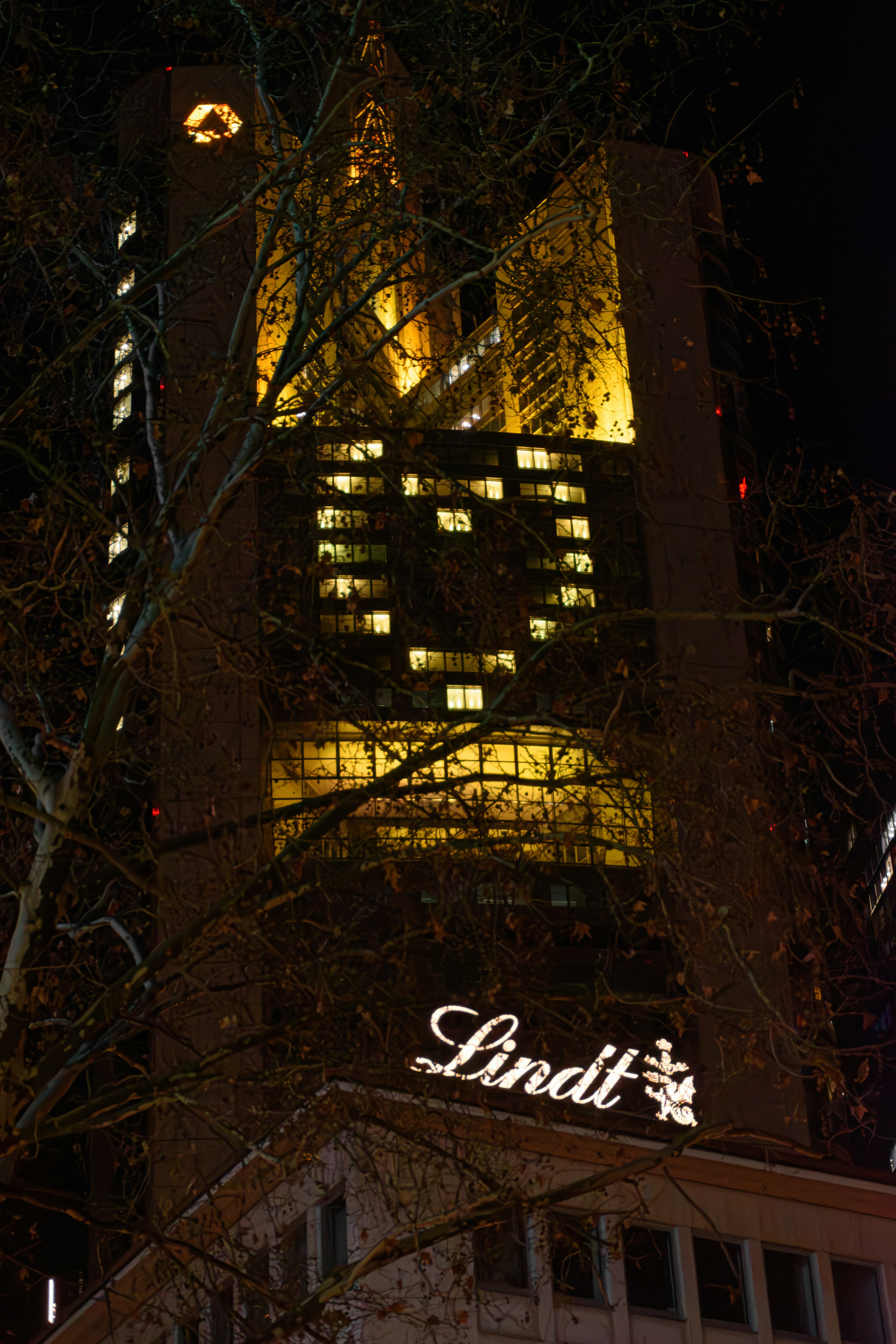 Lindt glow over city: a night shot of a chocolate flagship lit in the dark