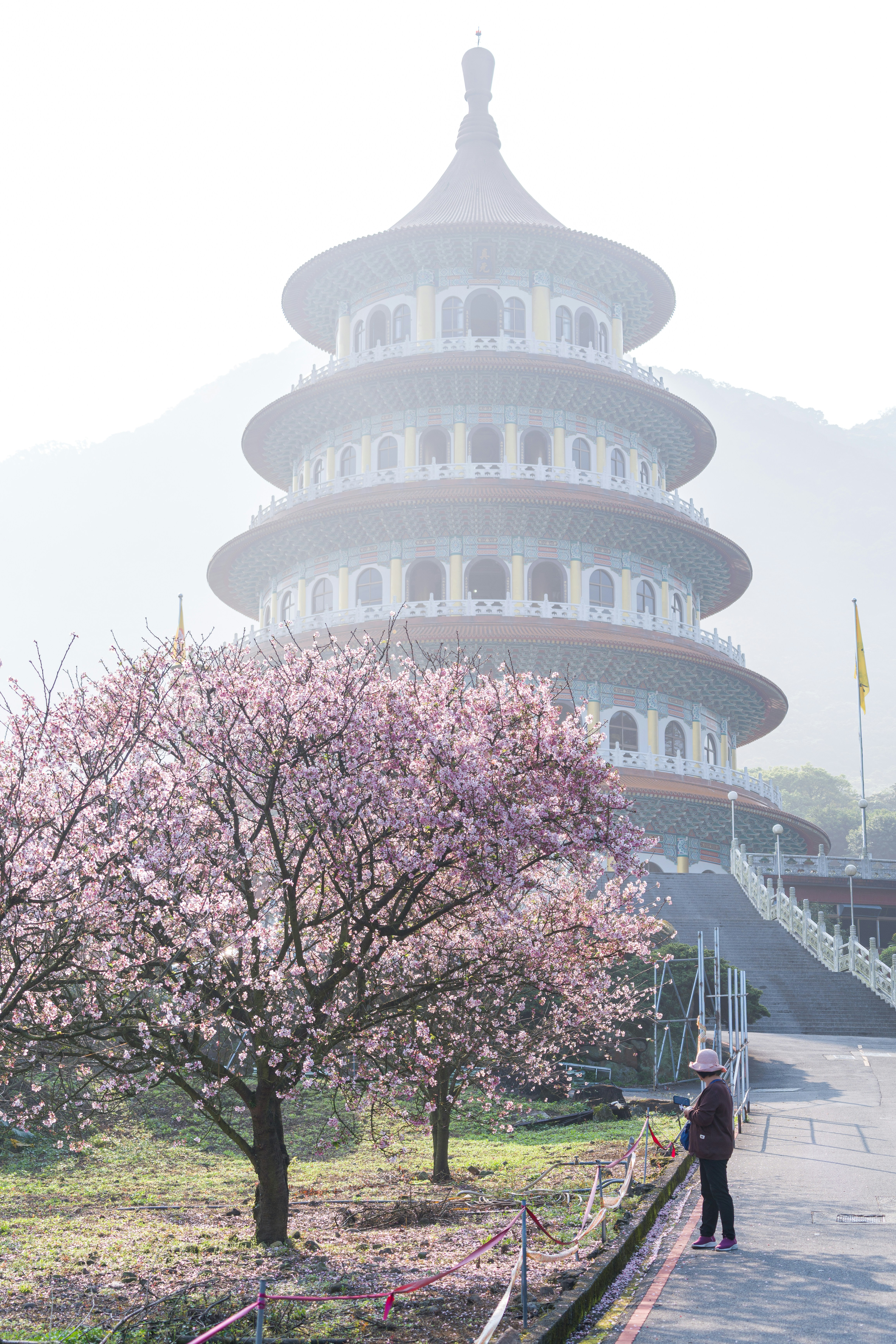 Blossoms beneath the Eight-Tier Pagoda