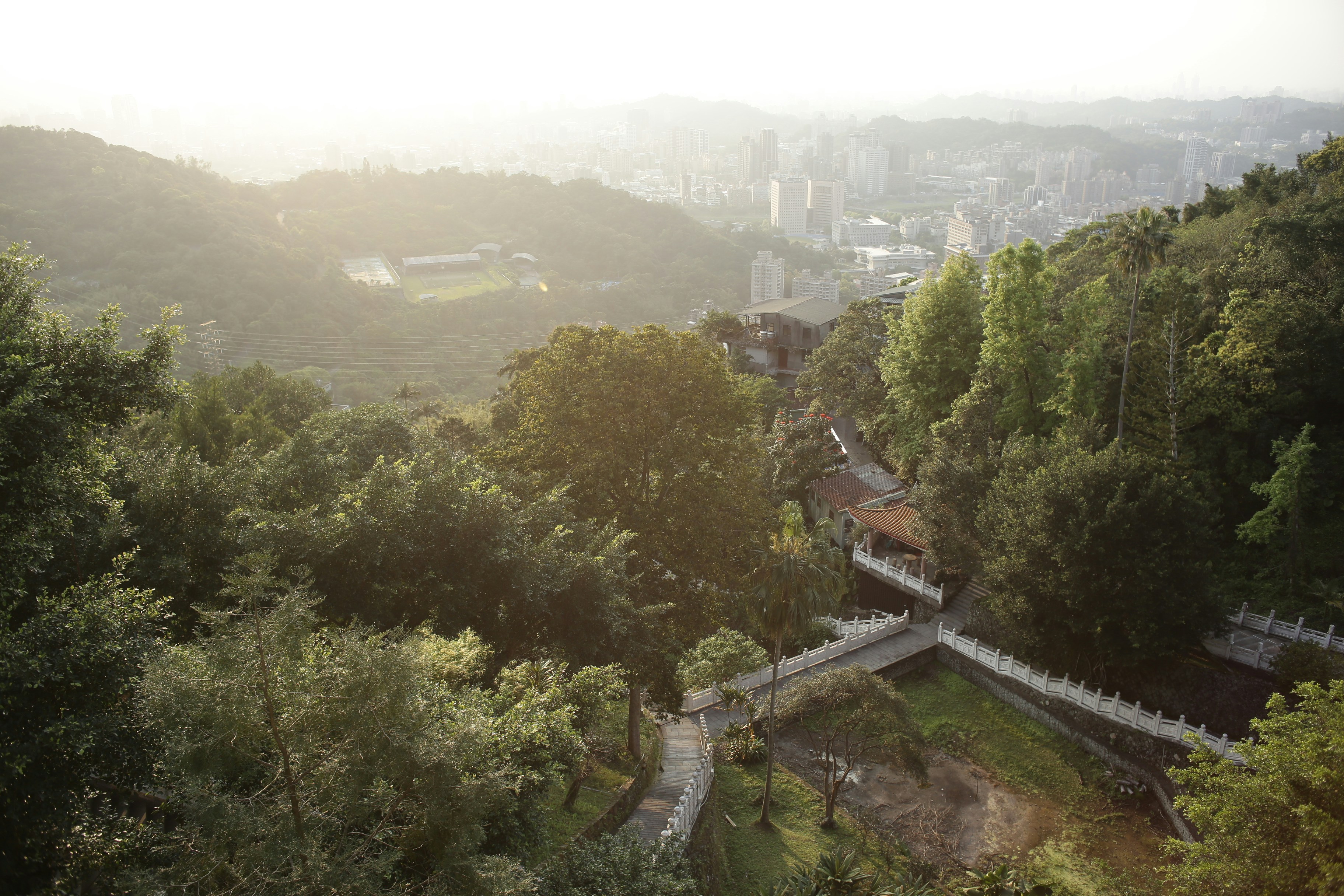 Terraced Pathway through a Sunlit Forest Overlooking a City
