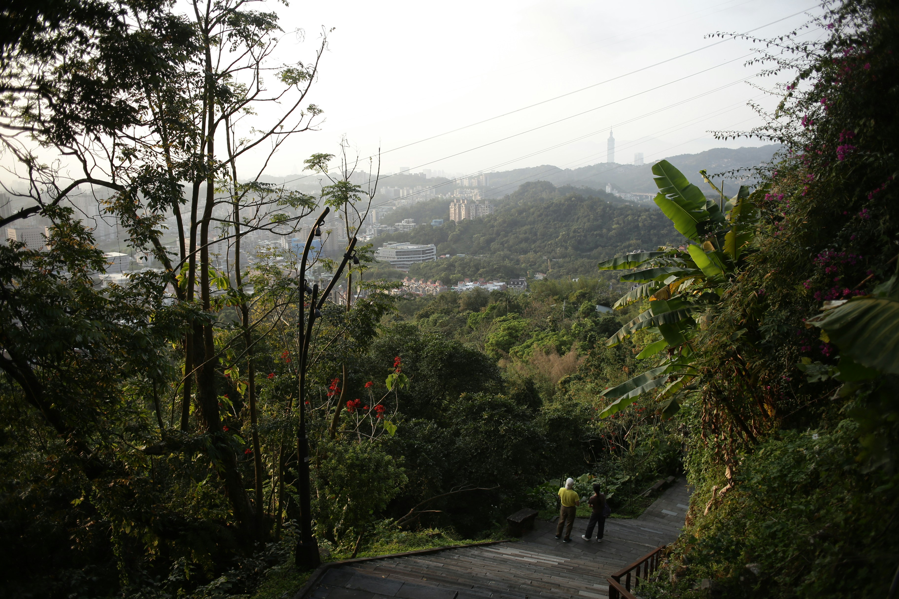 Quiet overlook: hikers anchor the hillside vista