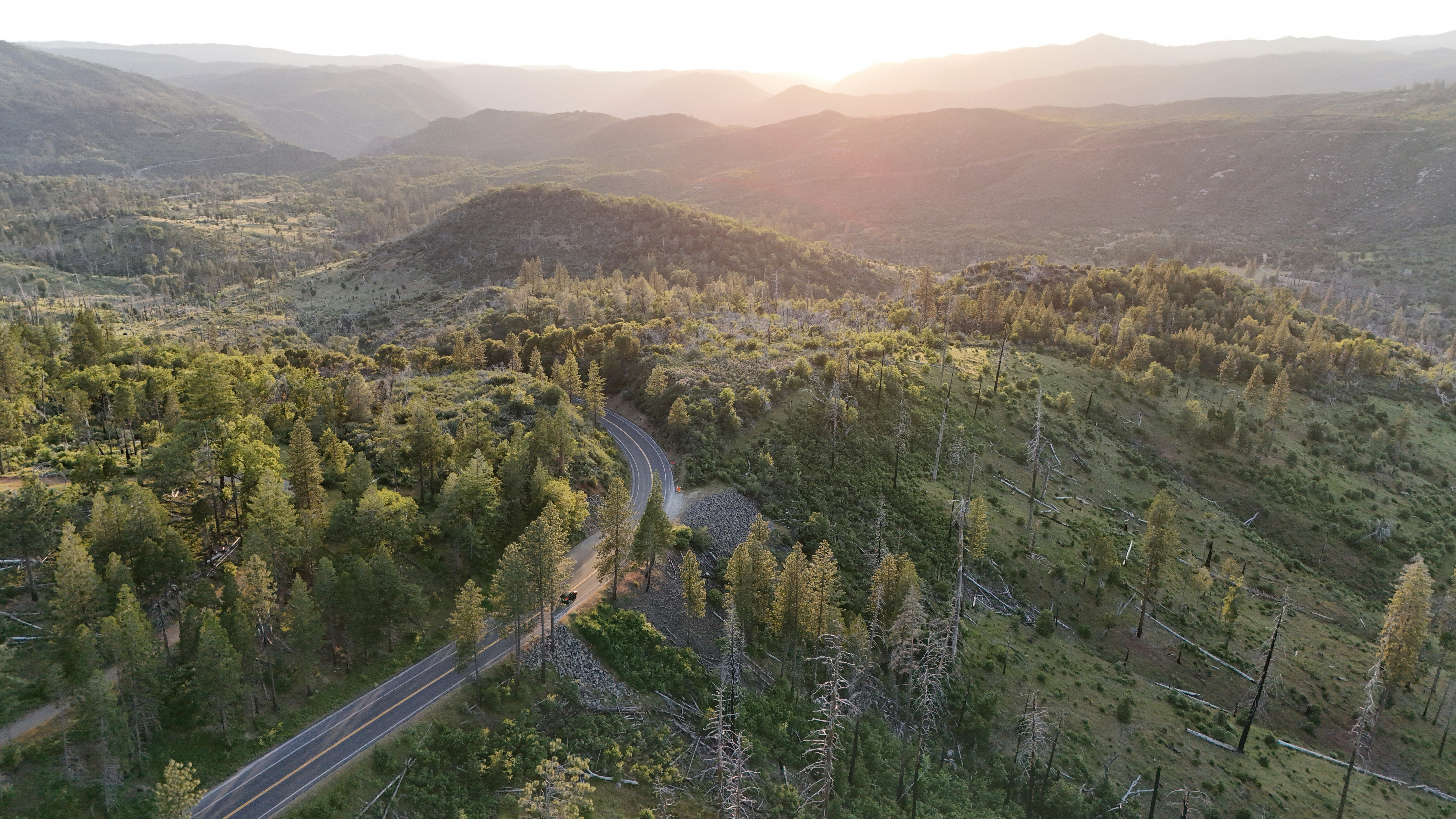 Golden-hour overlook: winding road through pine-dotted hills