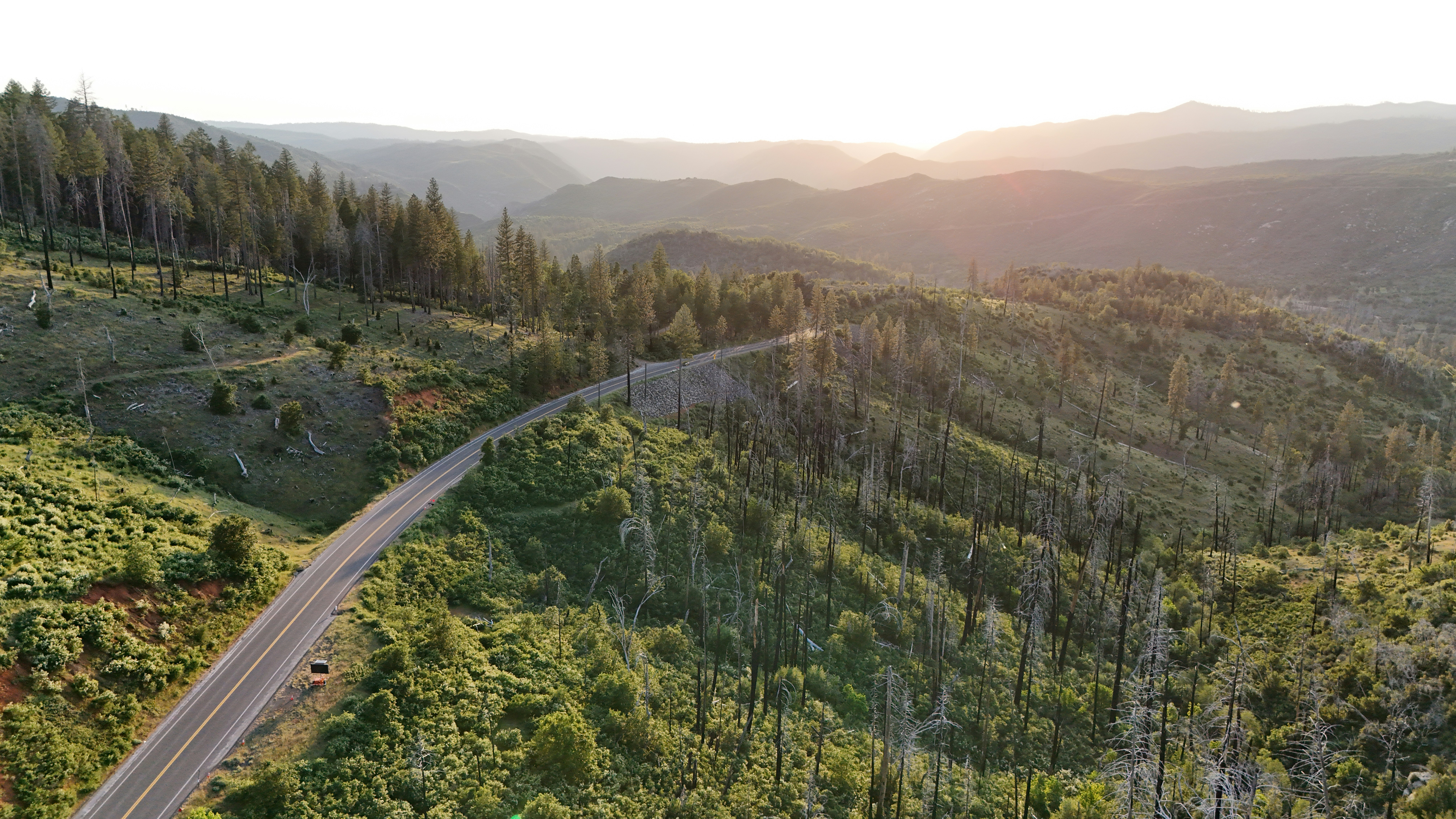 Golden Hour Road Through Winding Hills