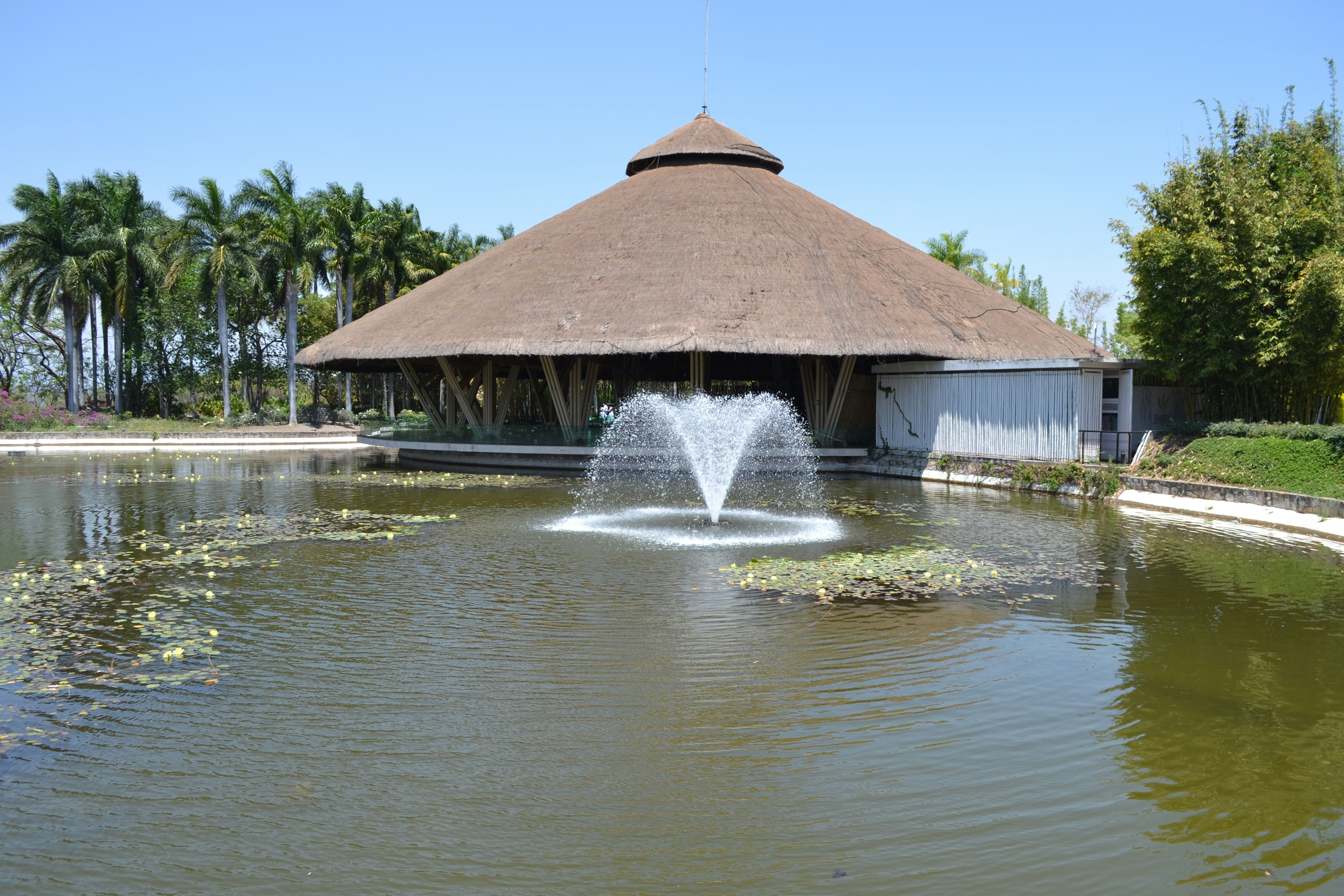 Central Fountain and Thatched Pavilion Framed by Palm Lanes
