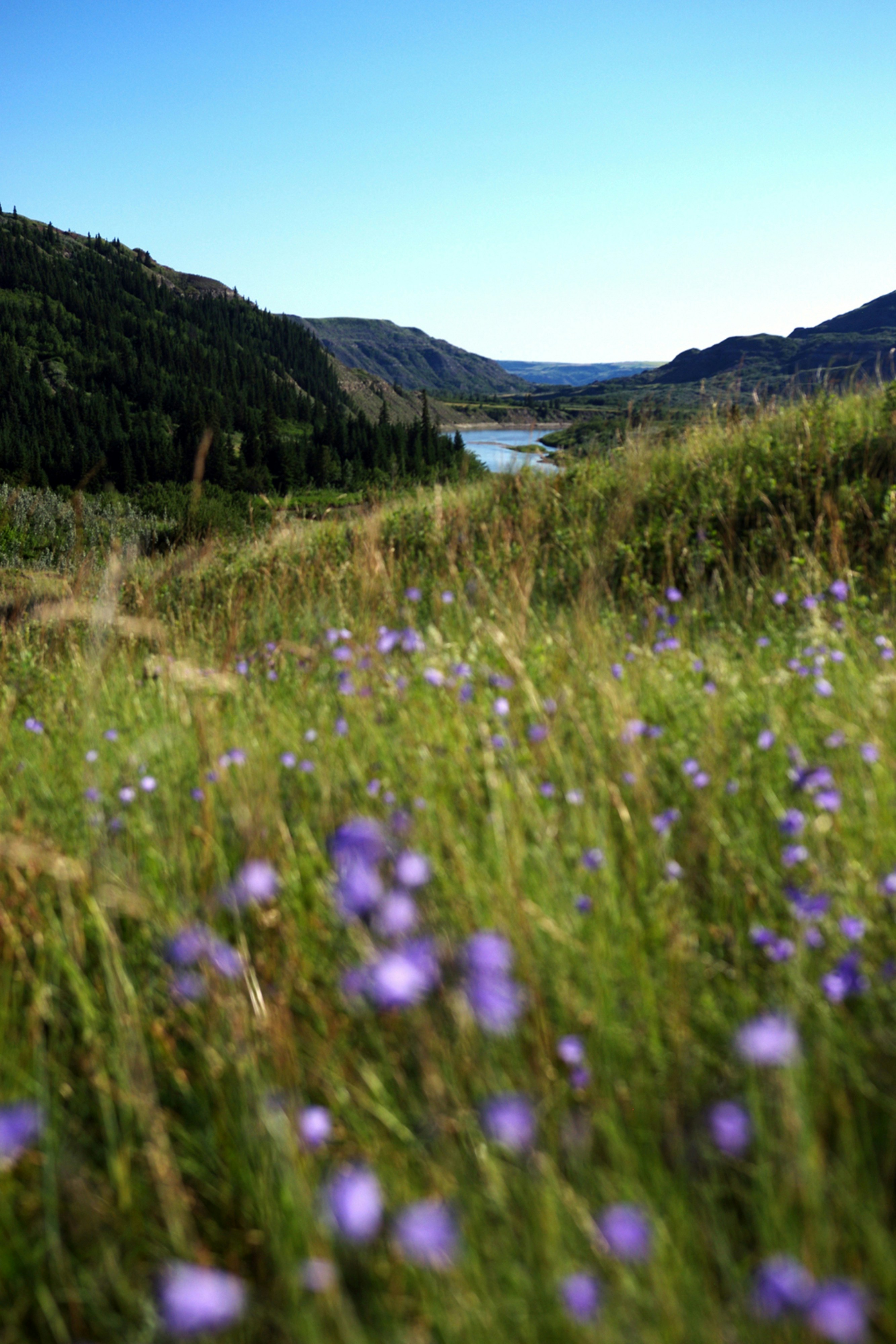  Meadow Crest: A Quiet River Valley Beneath Open Skies