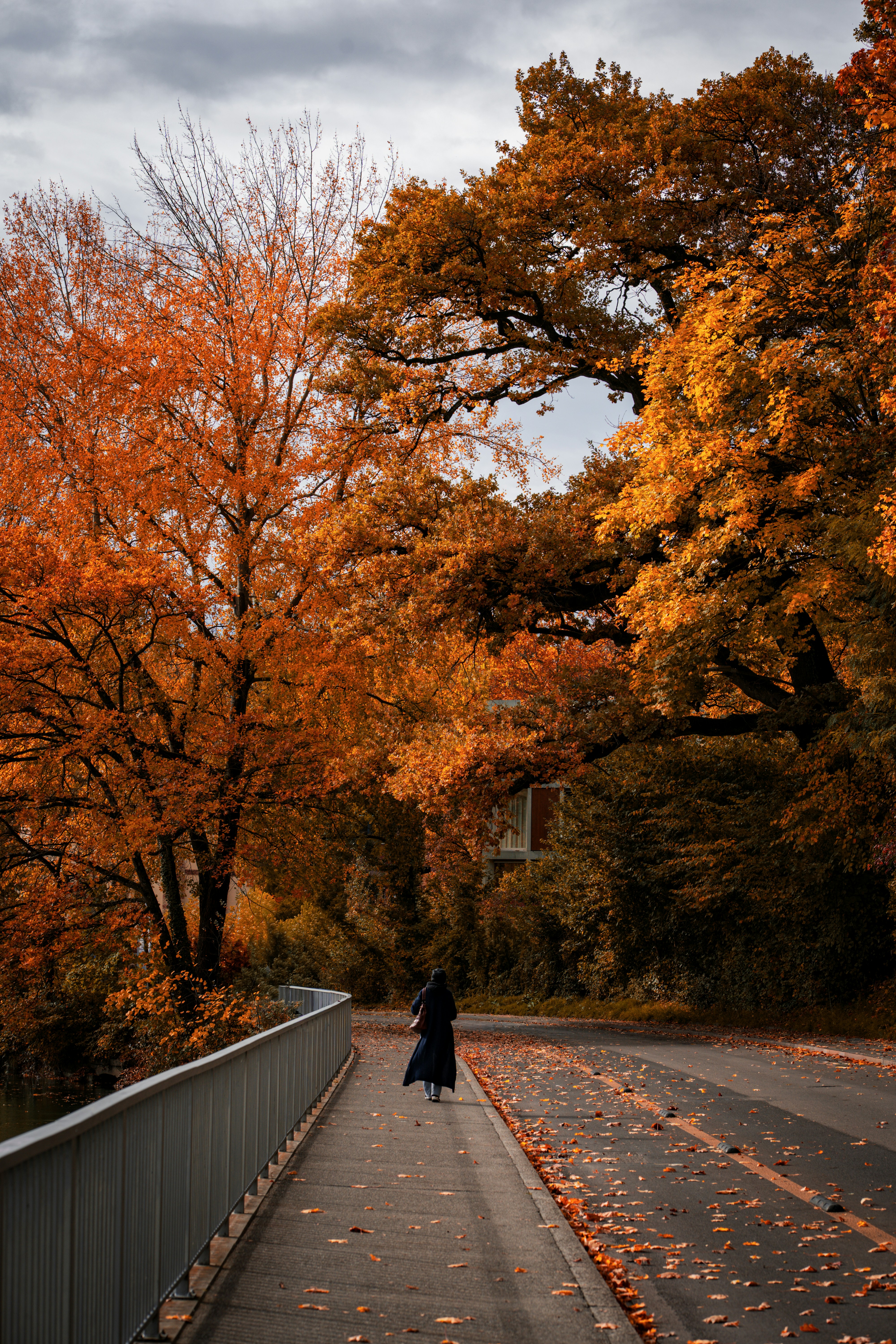 Autumn Riverwalk: A solitary figure strides along a leaf-strewn path beneath copper-toned trees
