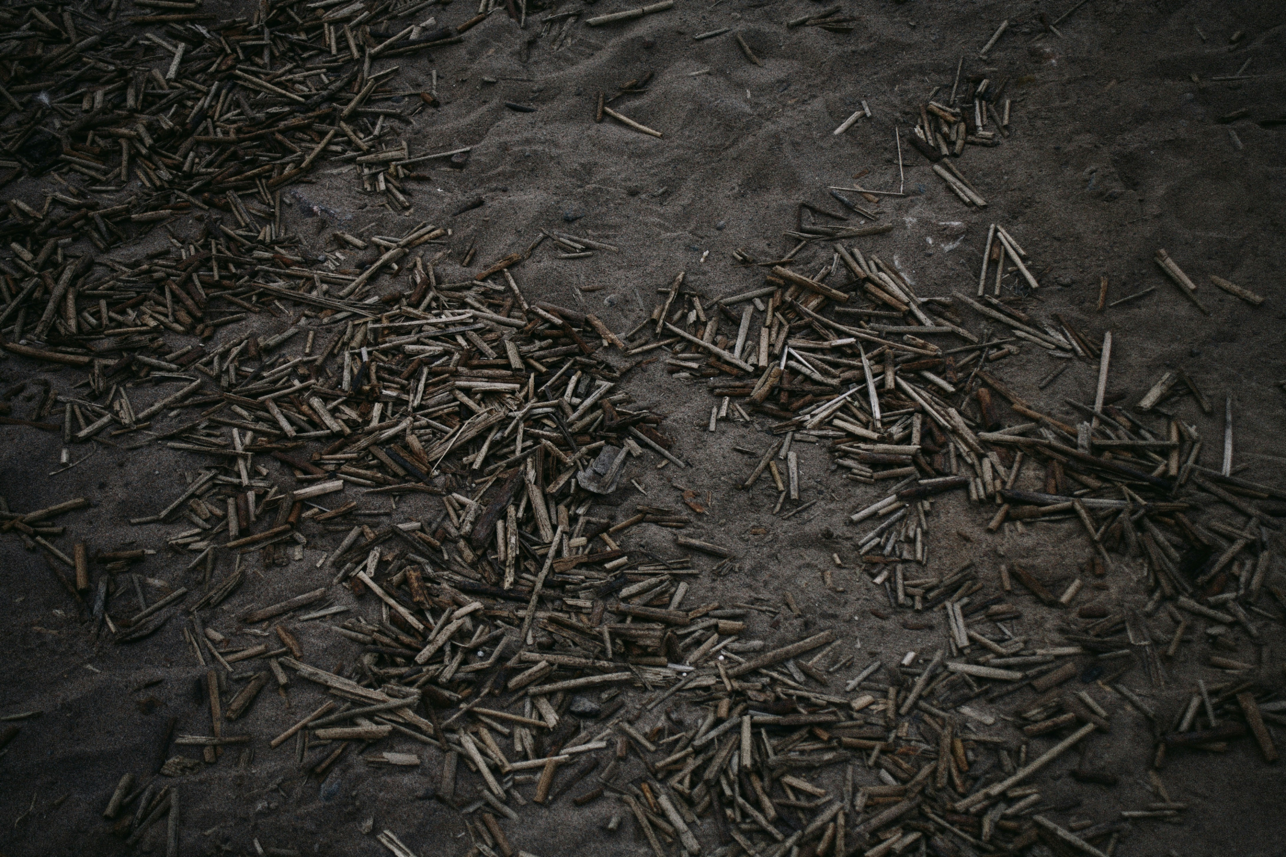 Sprawling detritus on a dark ground canvas