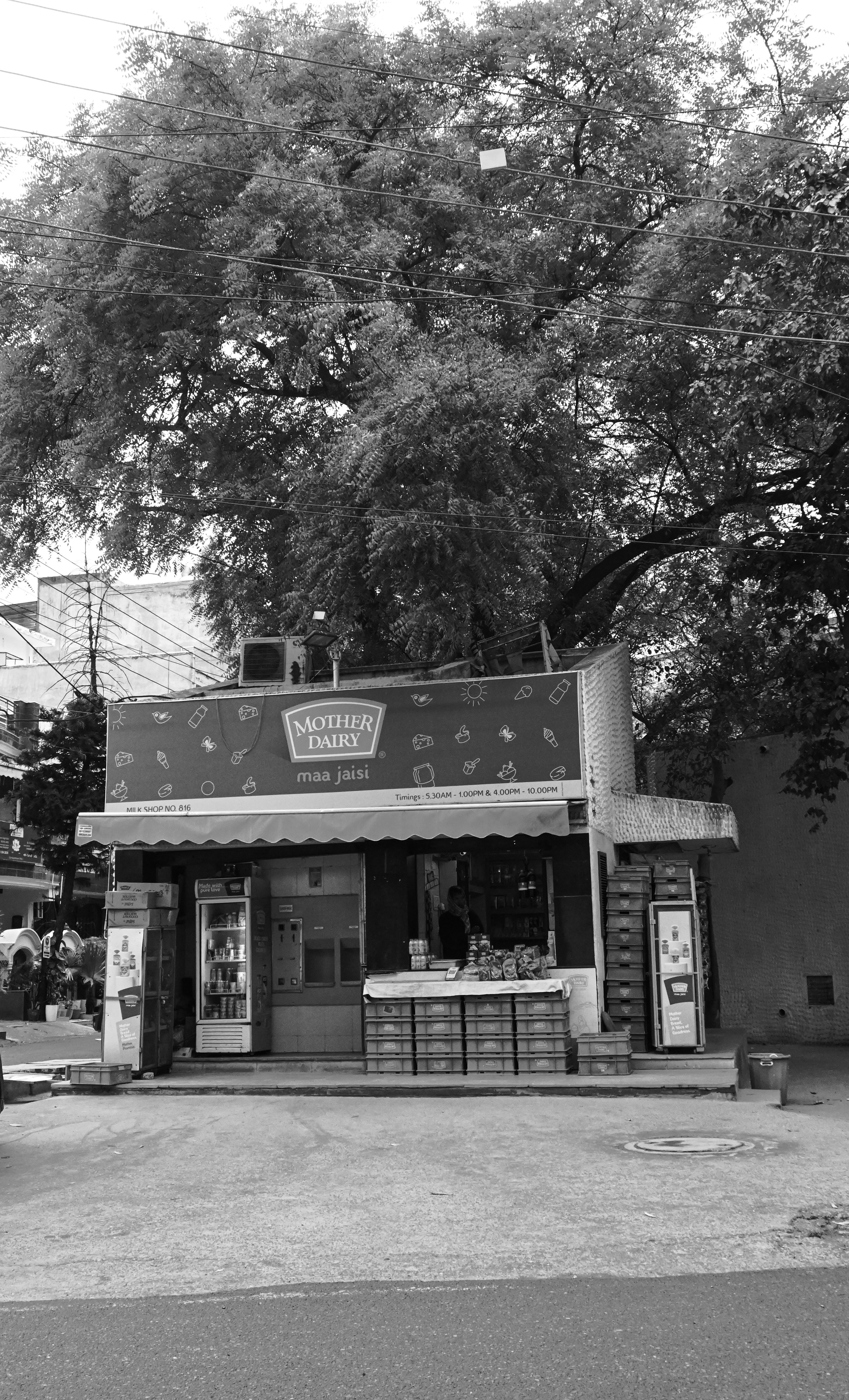 Mother Dairy Shopfront Beneath a Canopy of Trees