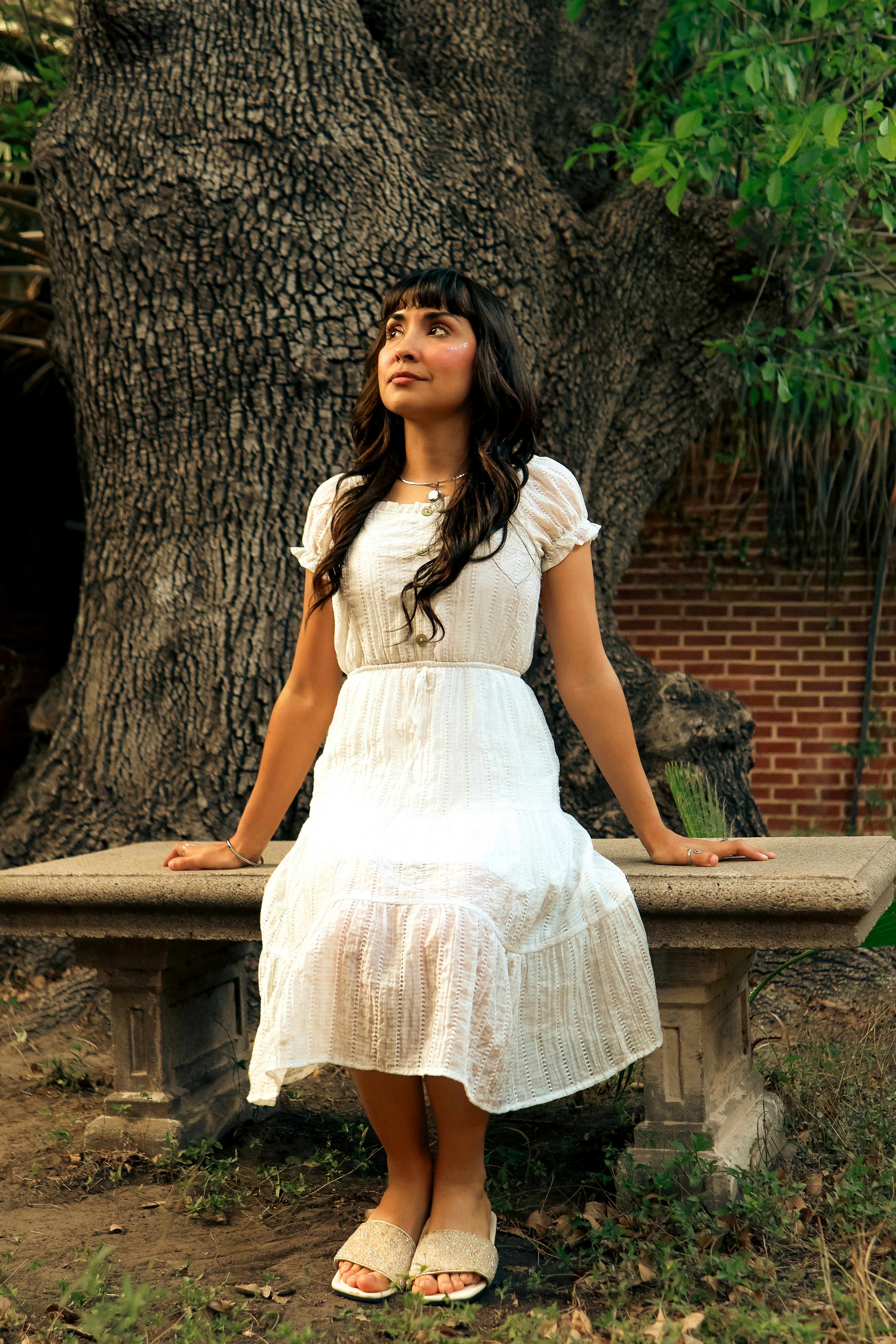 White Dress on a Bench Beneath a Ancient Tree
