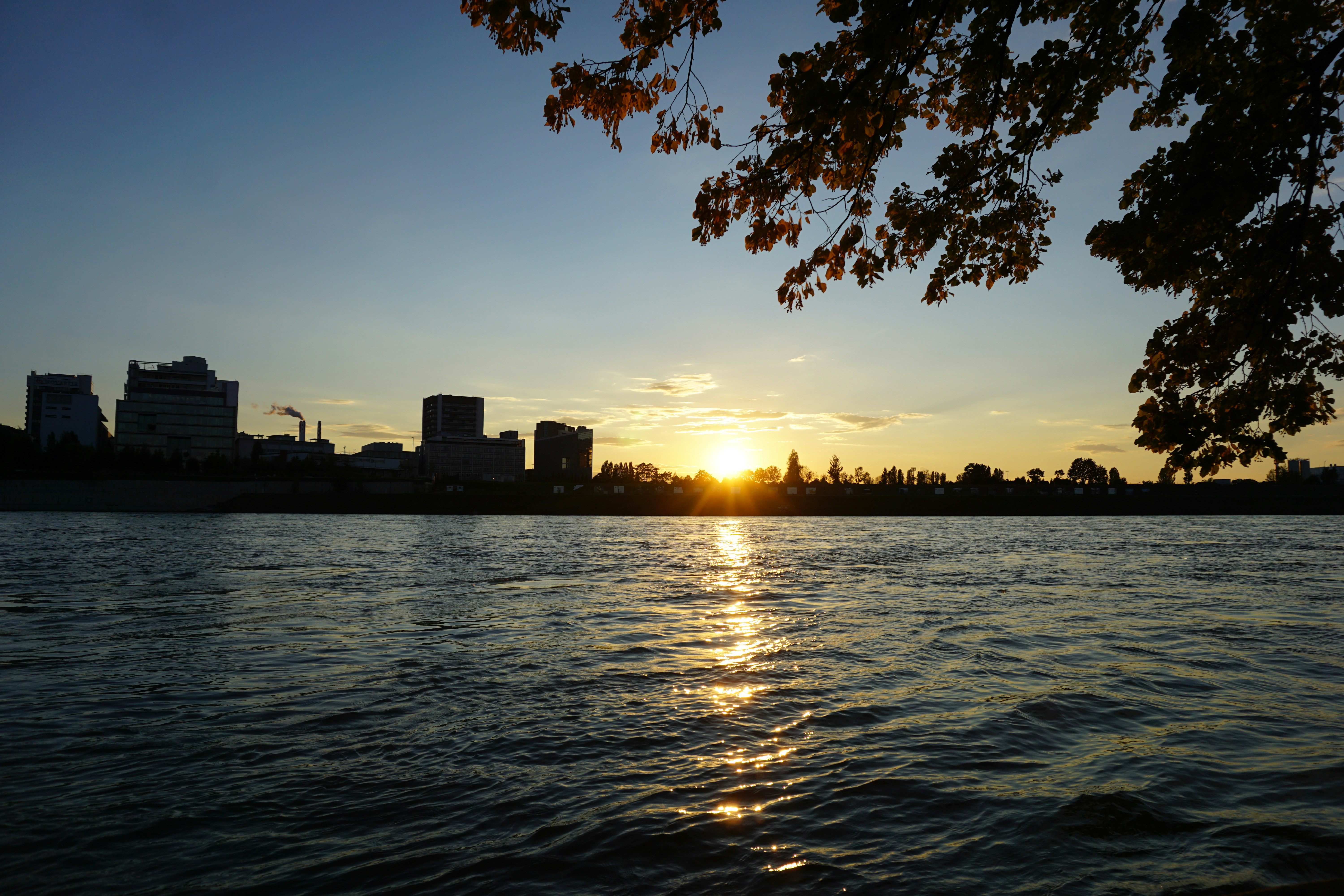Sunlit Skyline: Evening on the Water