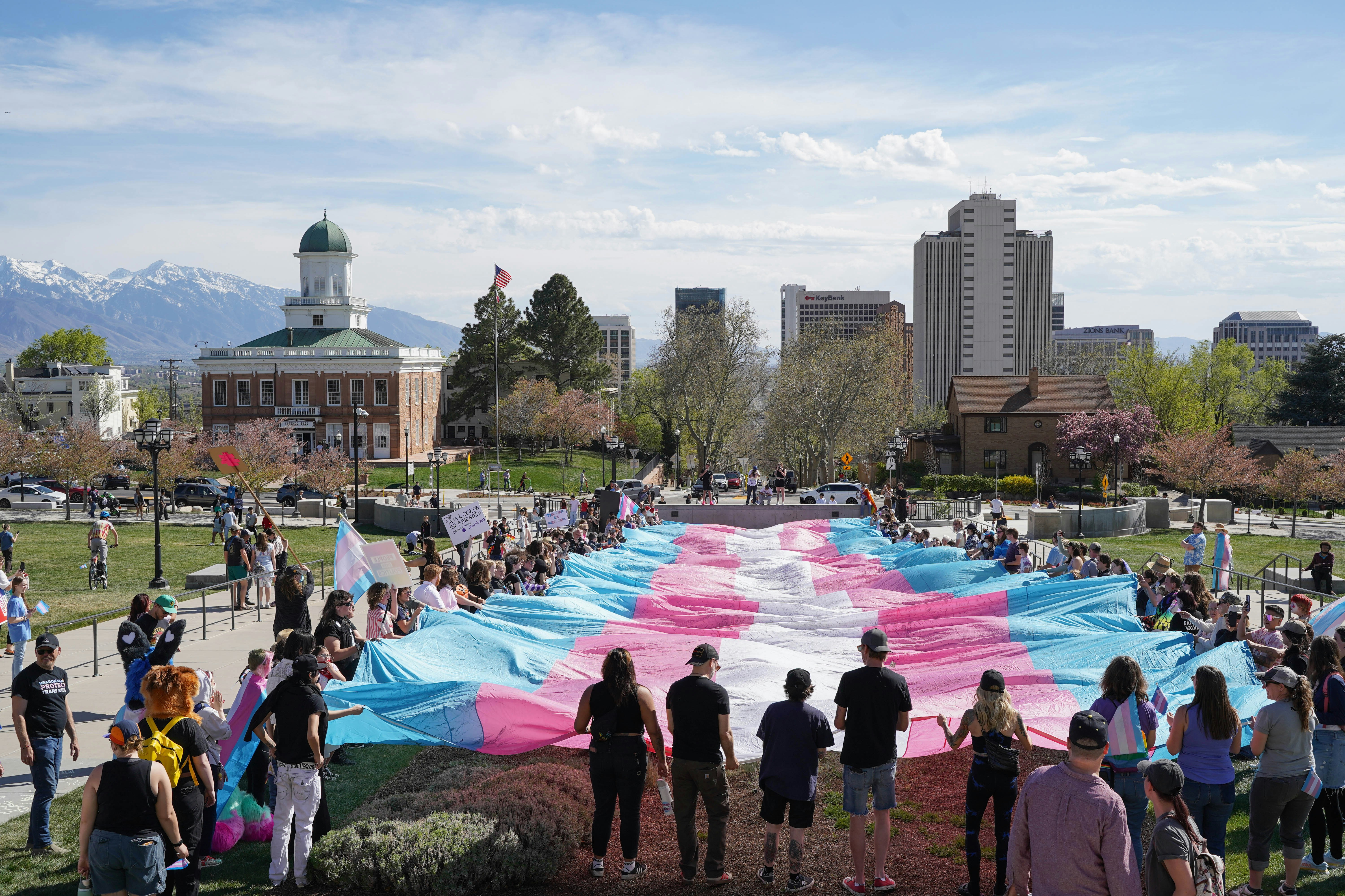 Colorful World in Bloom: A Community Banner Unfolds Across the Park
