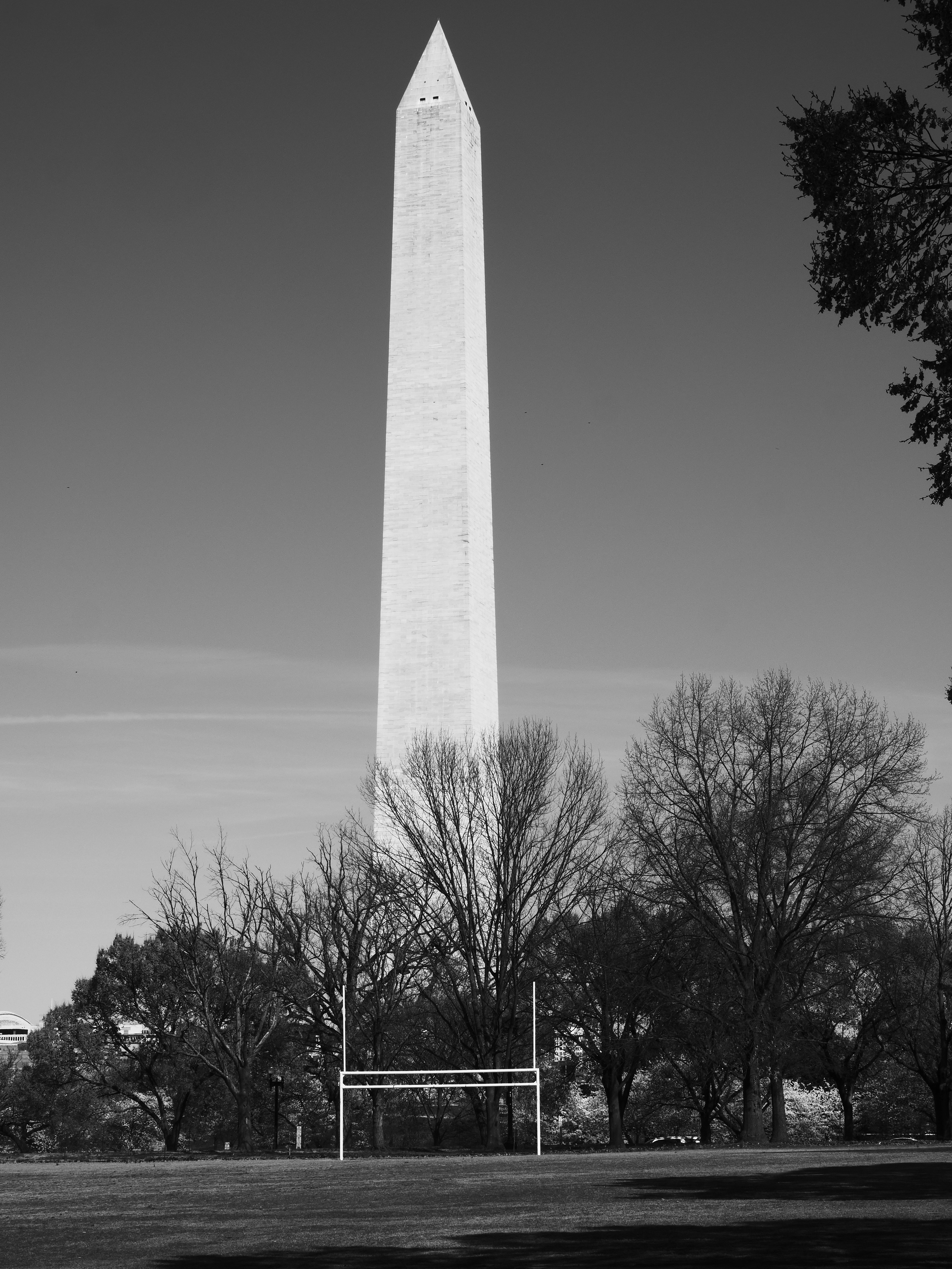 Obelisk Rising: A Quiet Monument amid Distant Trees