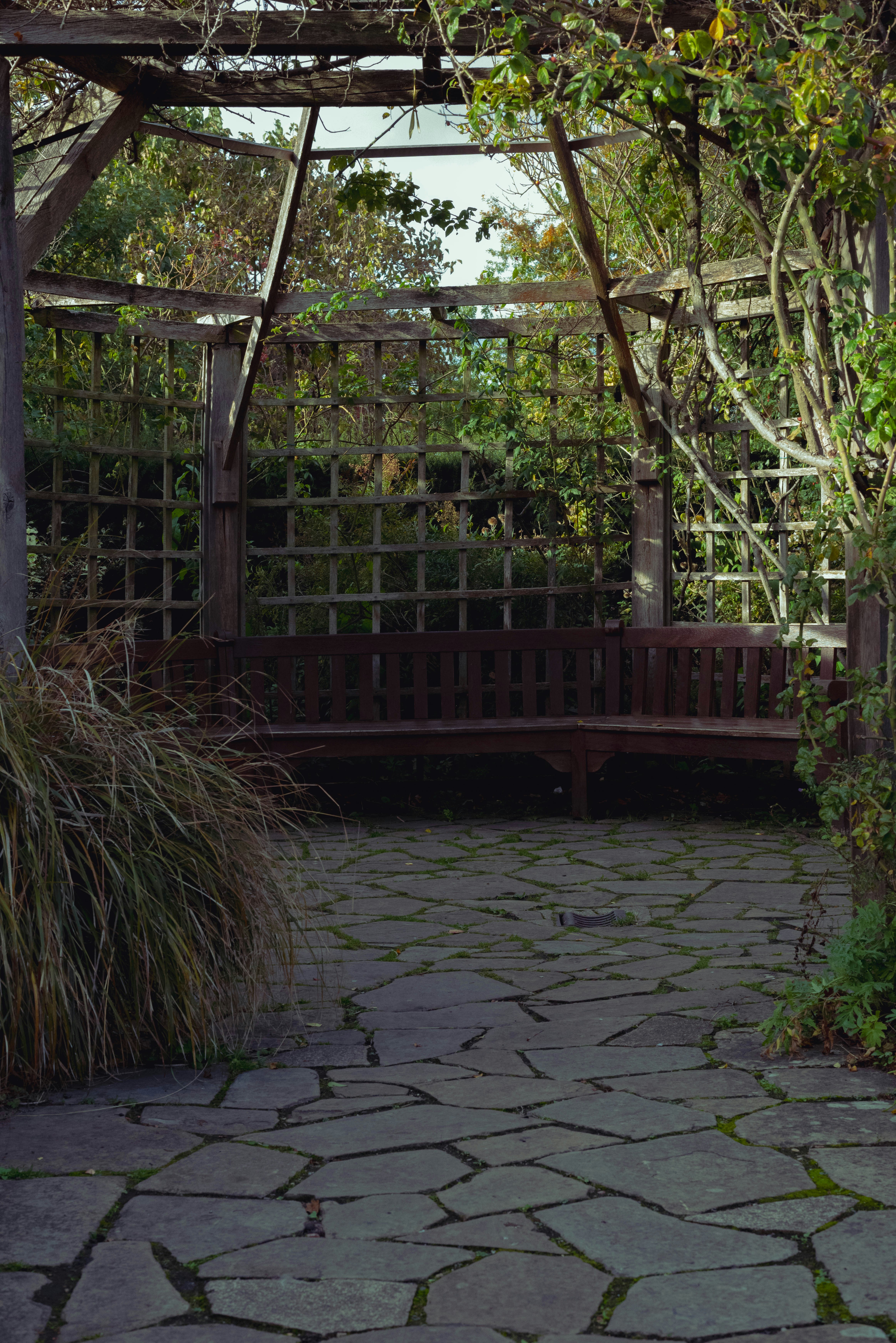 Quiet Garden Shelter: A Lattice of Green and Stone
