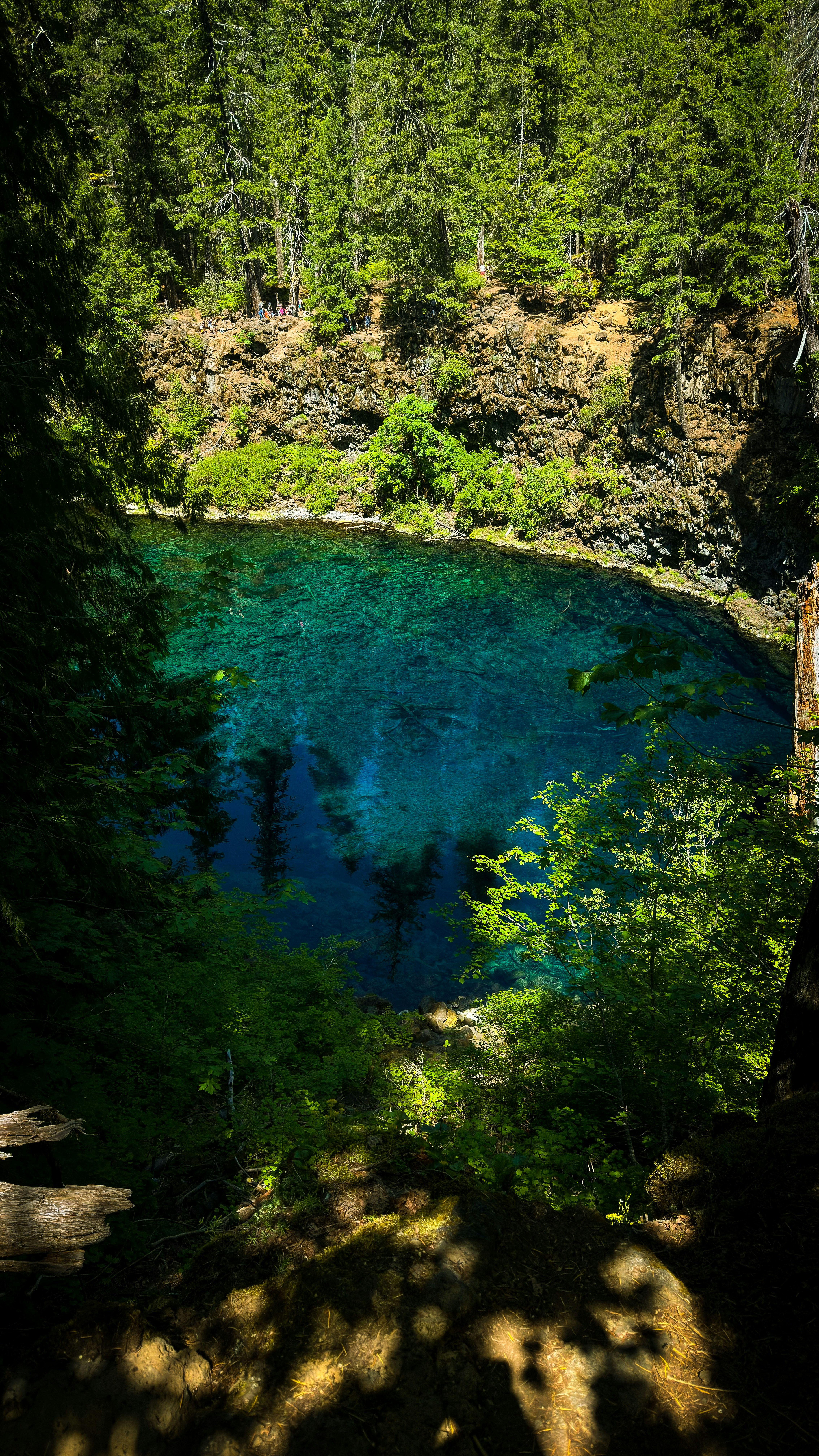 Emerald Basin: A Hidden Pool Surrounded by Pines