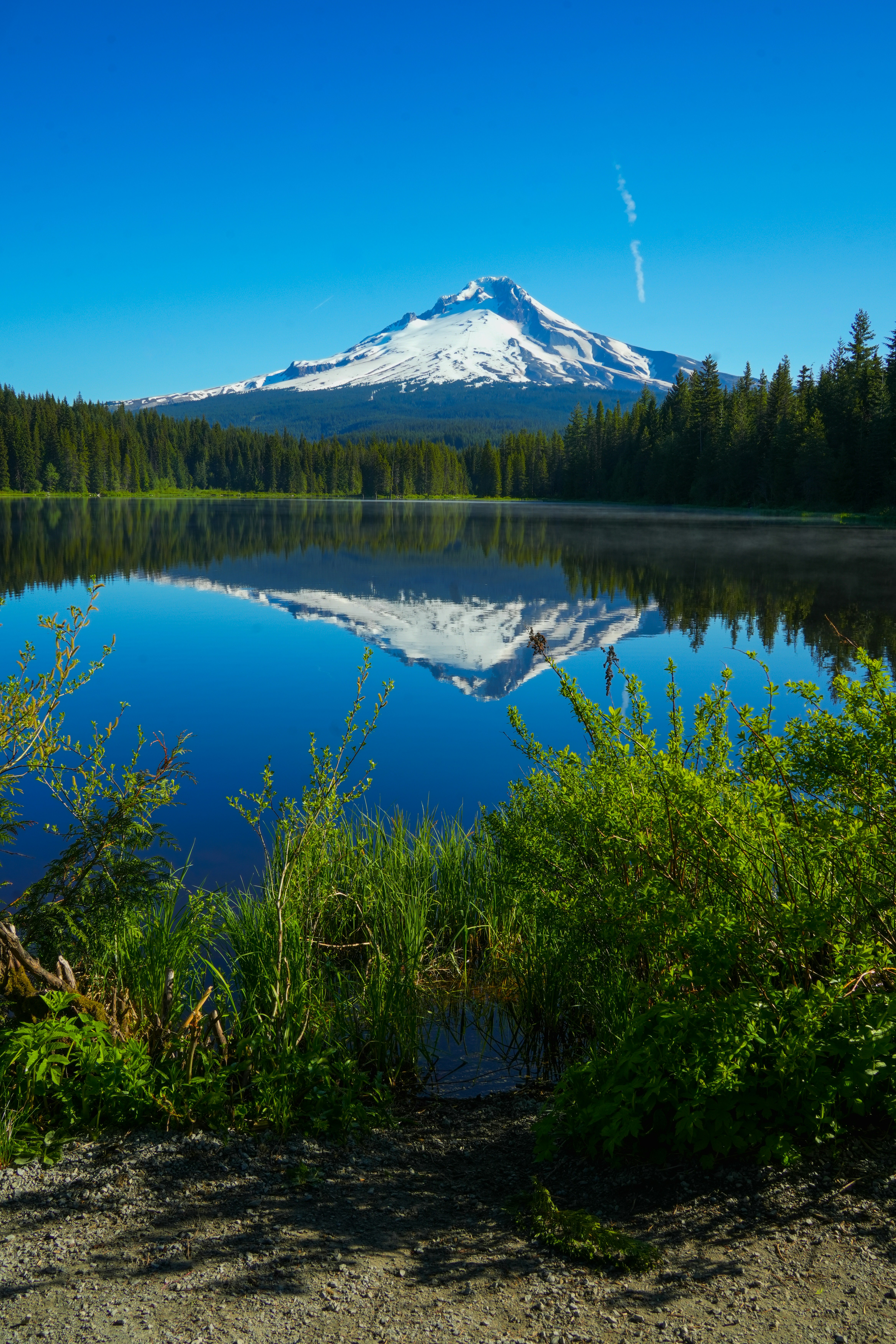 Snow-capped Peak Looms Over Mirror Lake