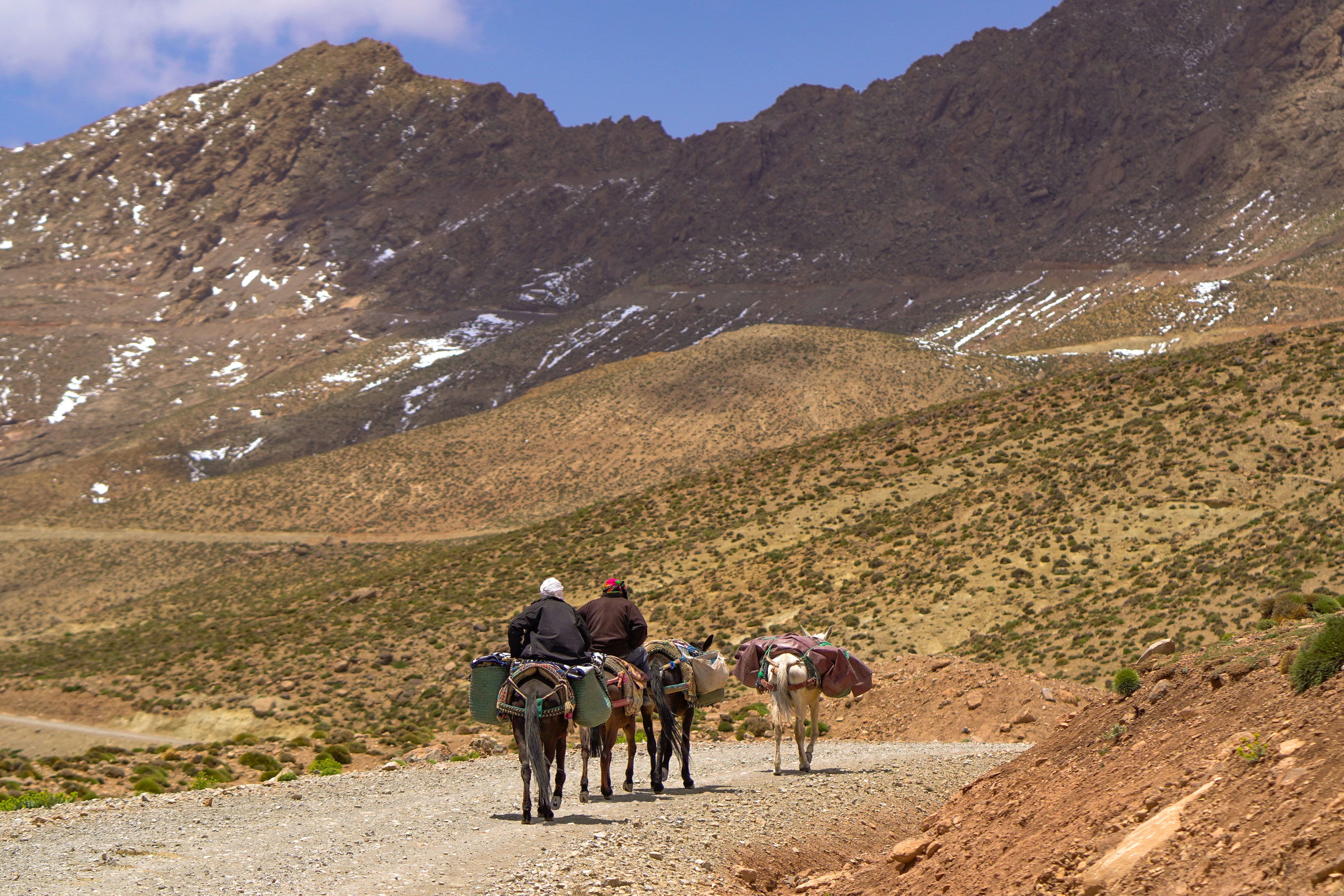 Horses and Travelers on a Rugged Mountain Path